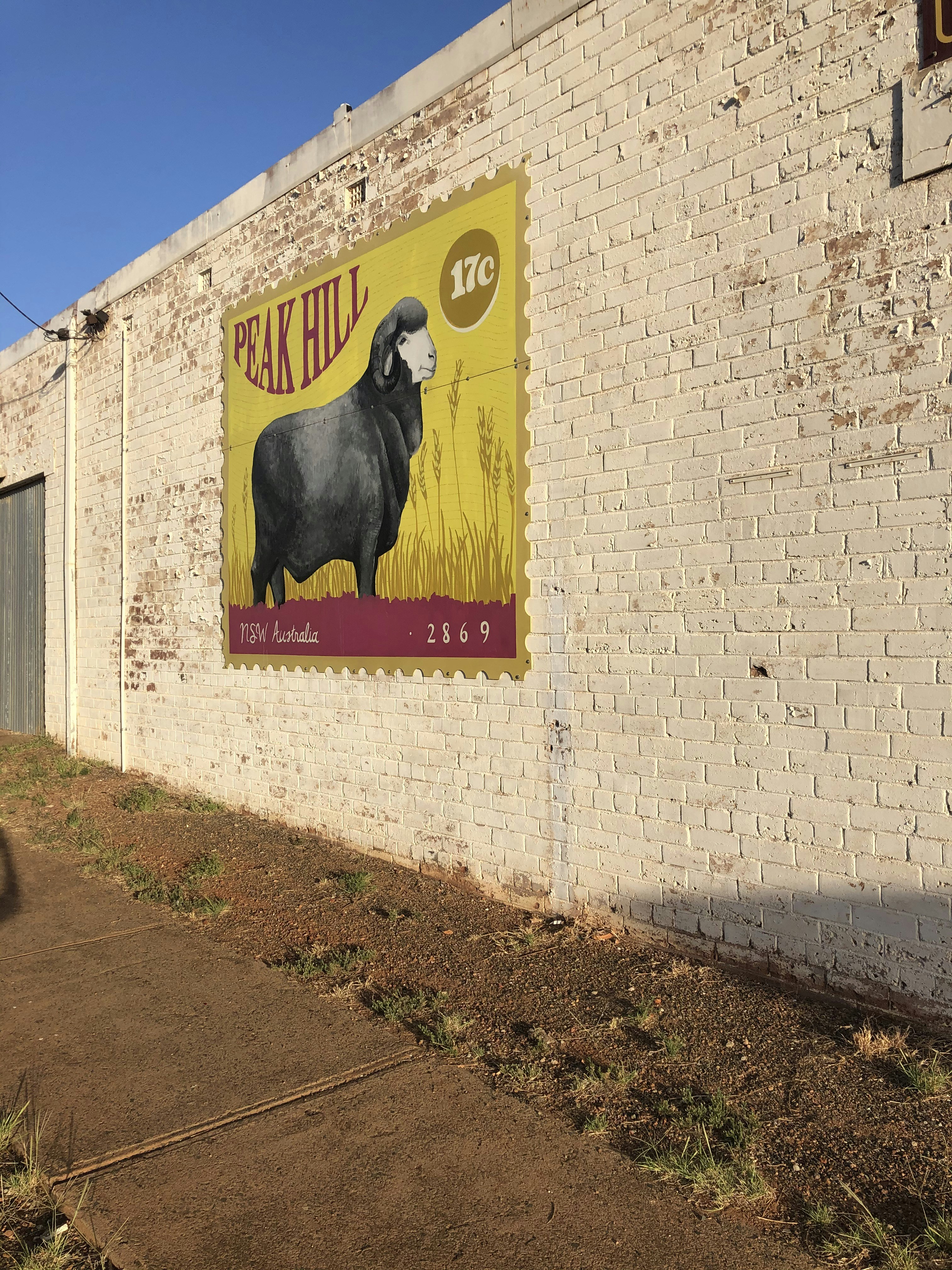 Giant yellow poster on a weathered brick wall: Peak Hill logo and black buffalo