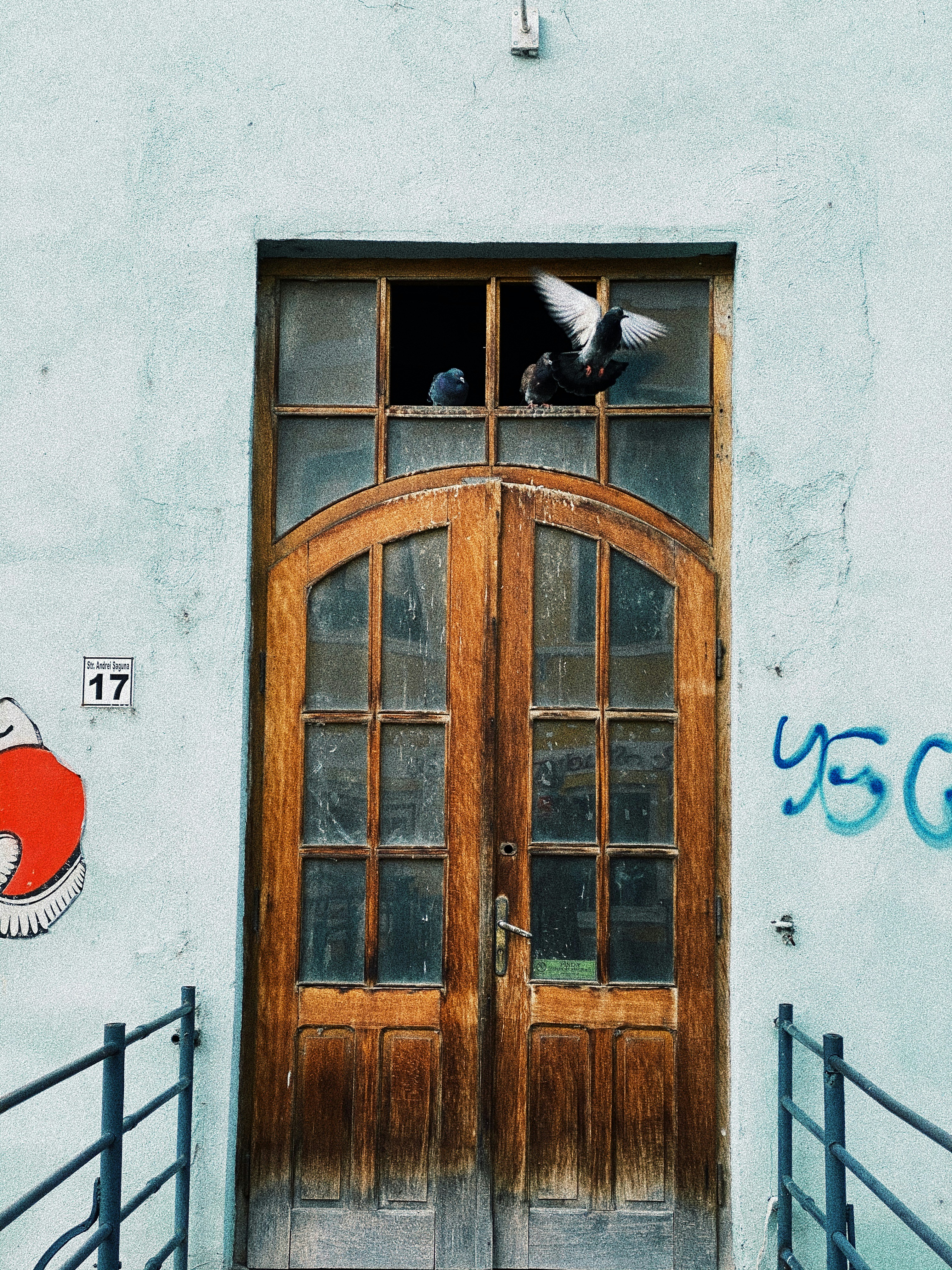 Pigeons at the Arch: A Weathered Blue Doorway Framed by Graffiti