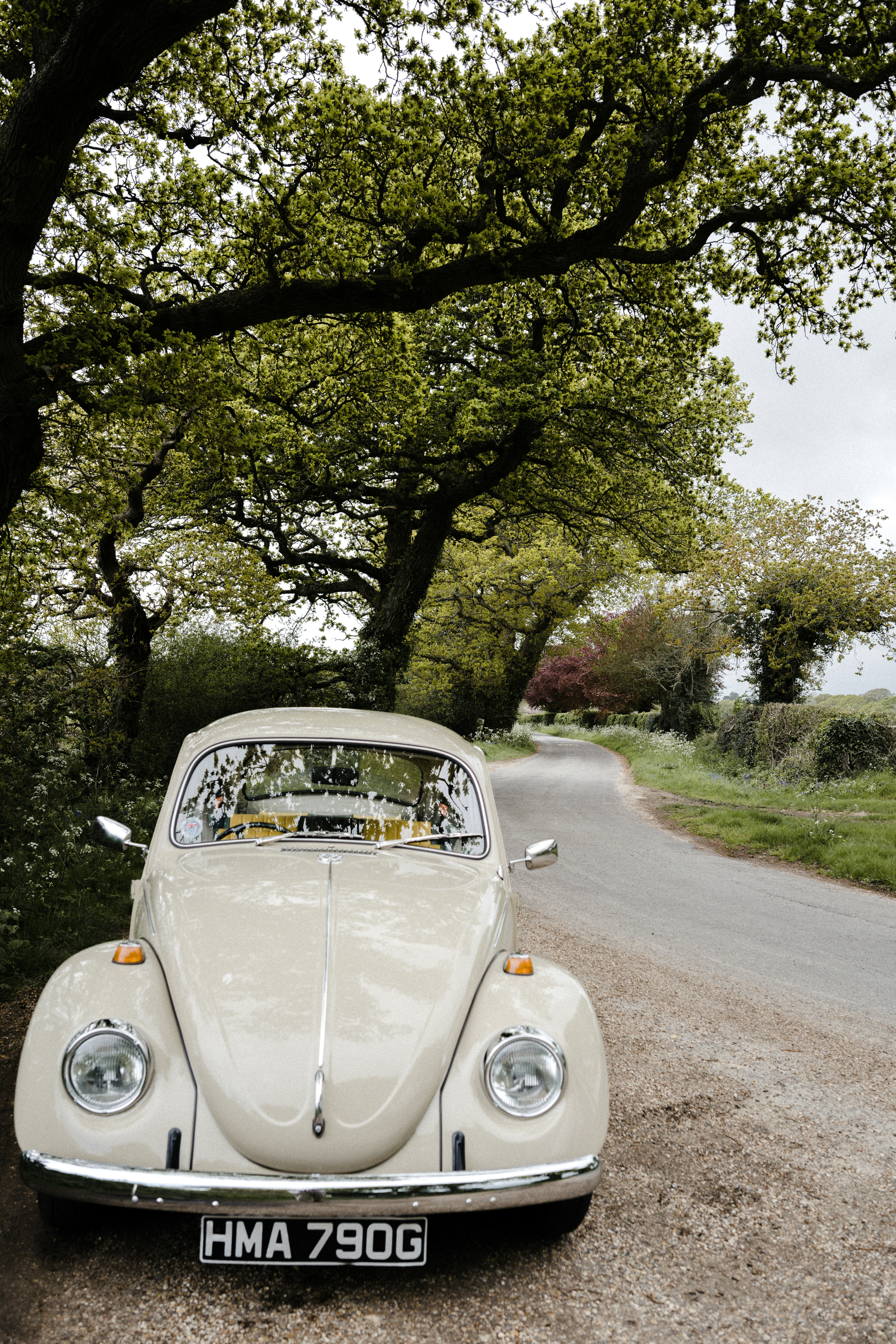 Cream Beetle on a Tree-arched Country Lane