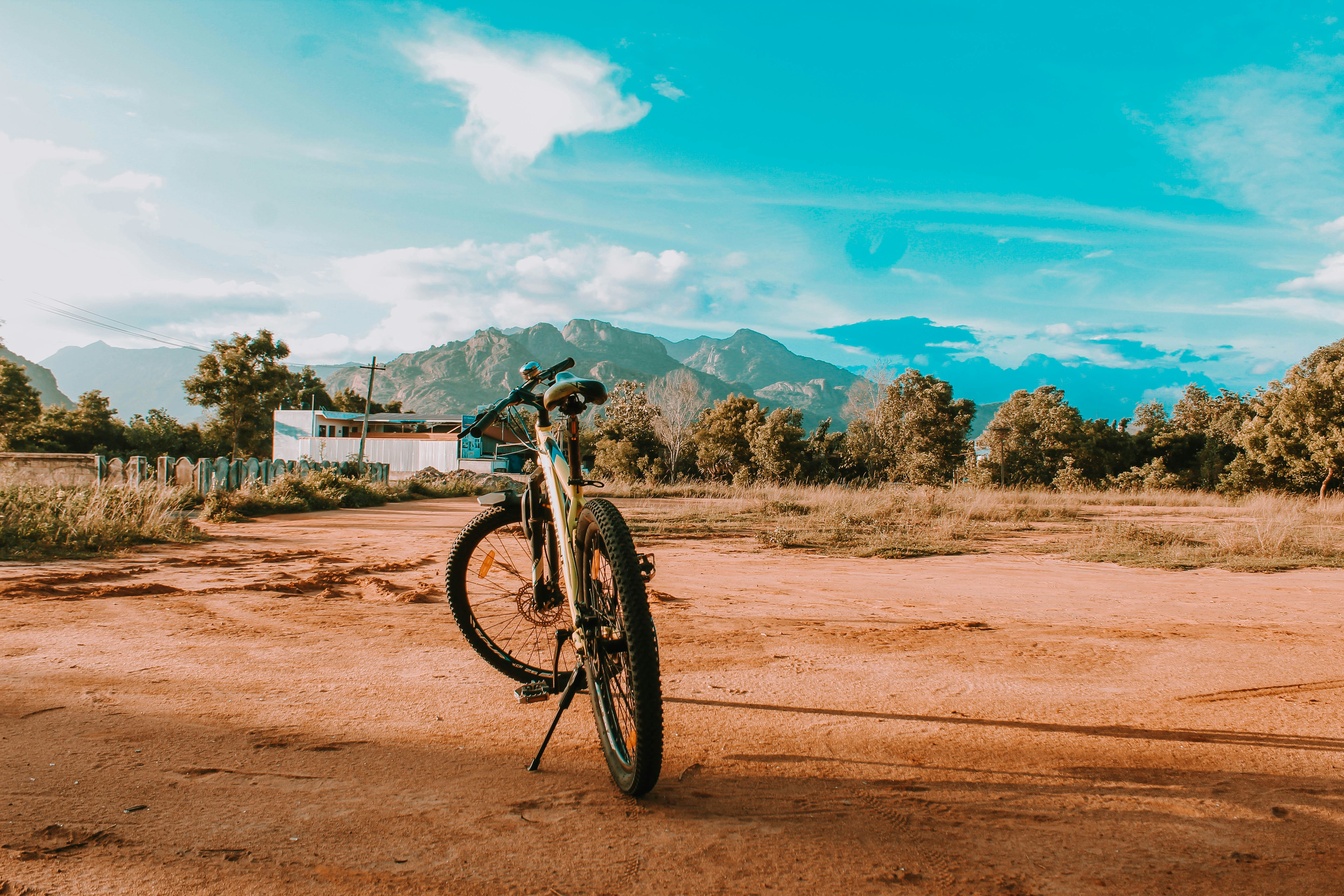 Wheeled Inertia: A Bicycle Resting Under Open Skies