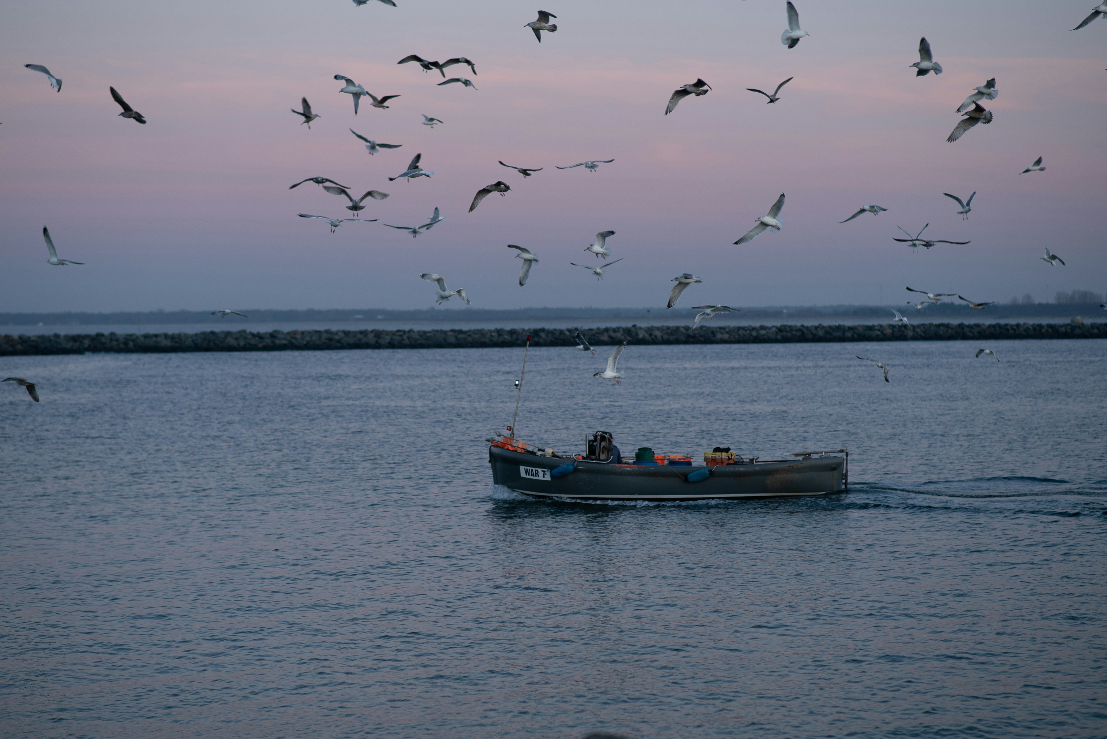 Fishing boat navigating a calm sea surrounded by a flock of seagulls under a pastel sky.