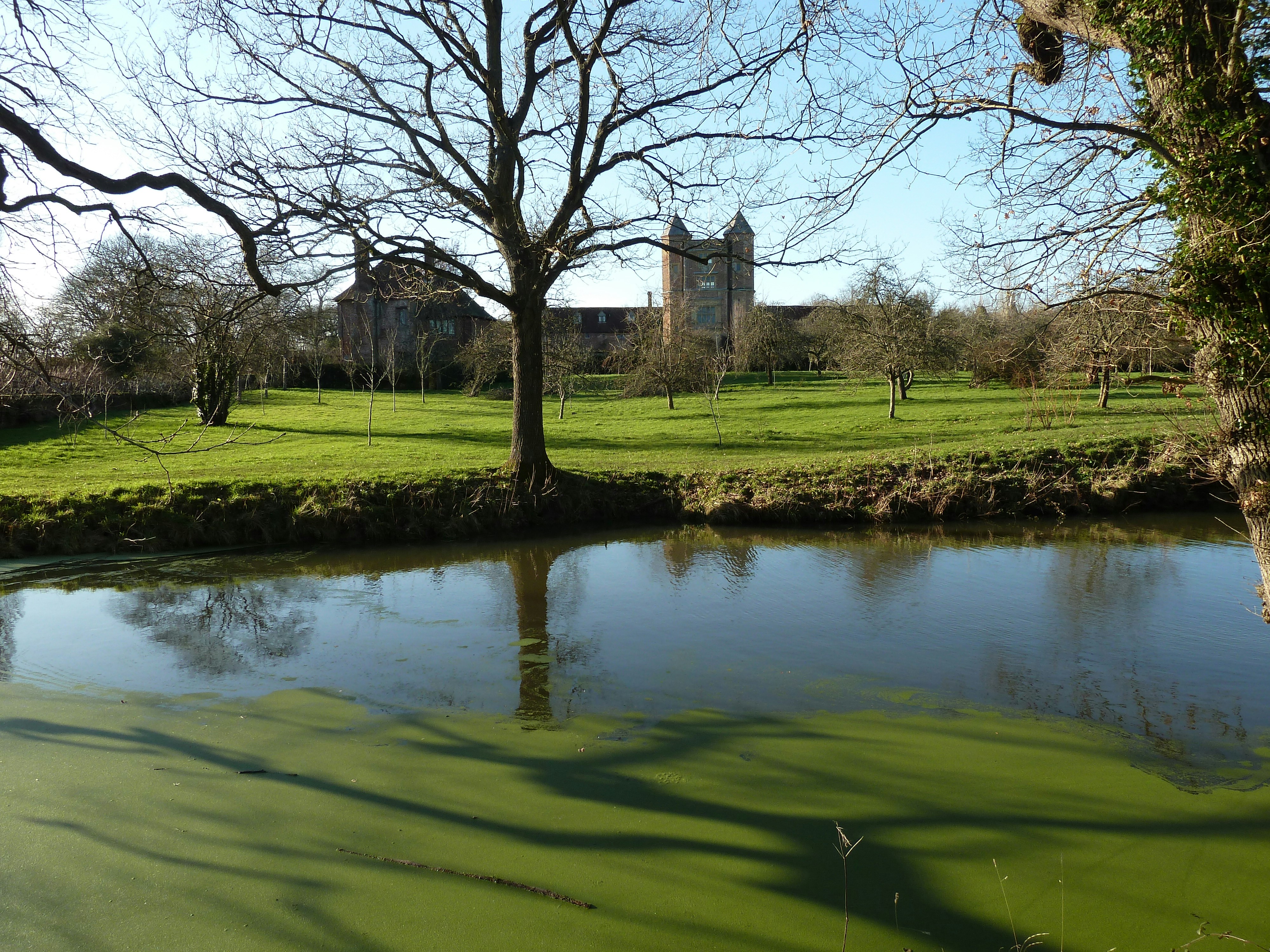 A tranquil scene featuring a lush green field and a historic building reflected in a calm pond. The bare branches of trees add a touch of elegance to the setting.
