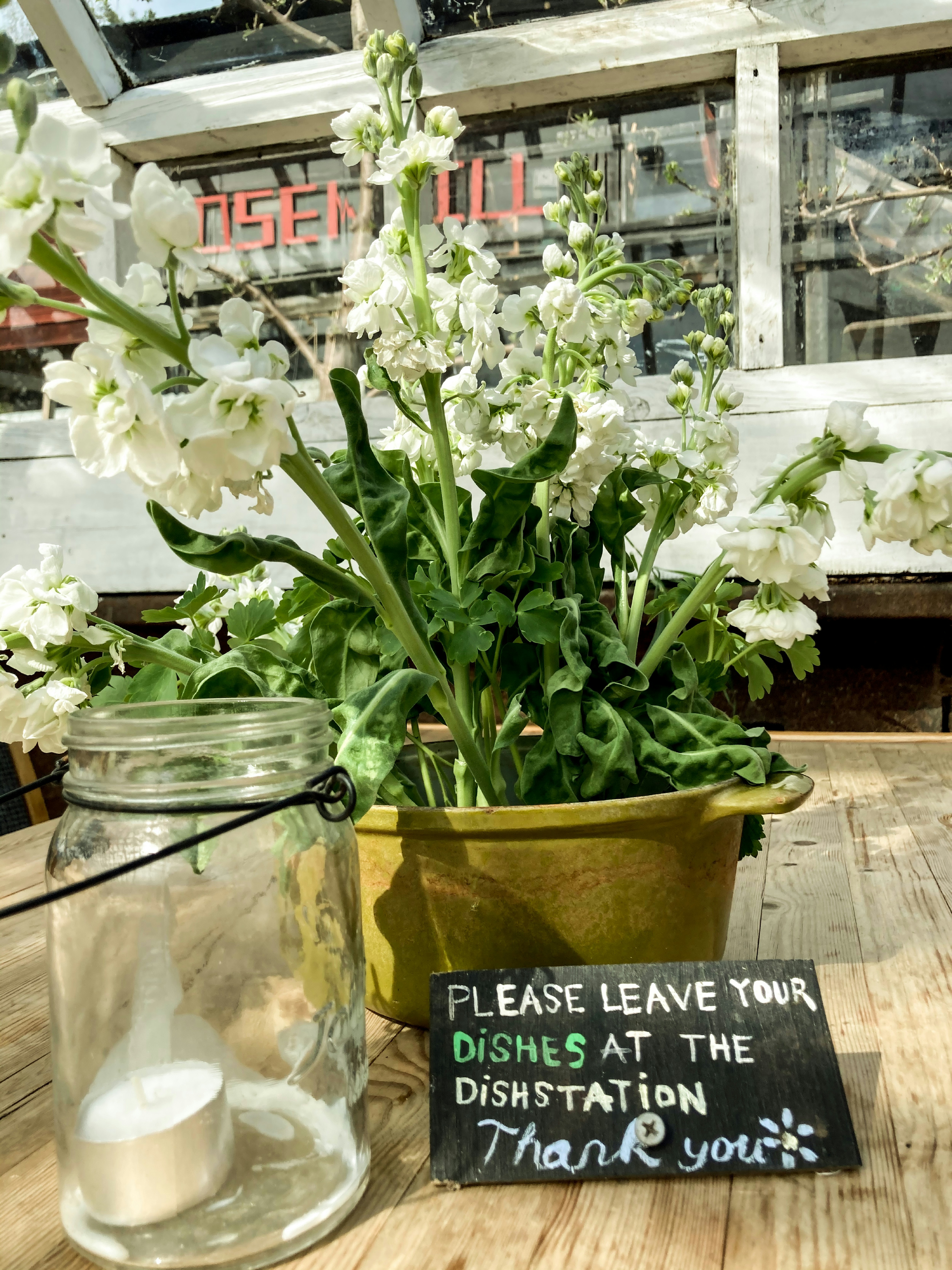 Stock Blossoms on a Weathered Table: A Quiet Café Moment