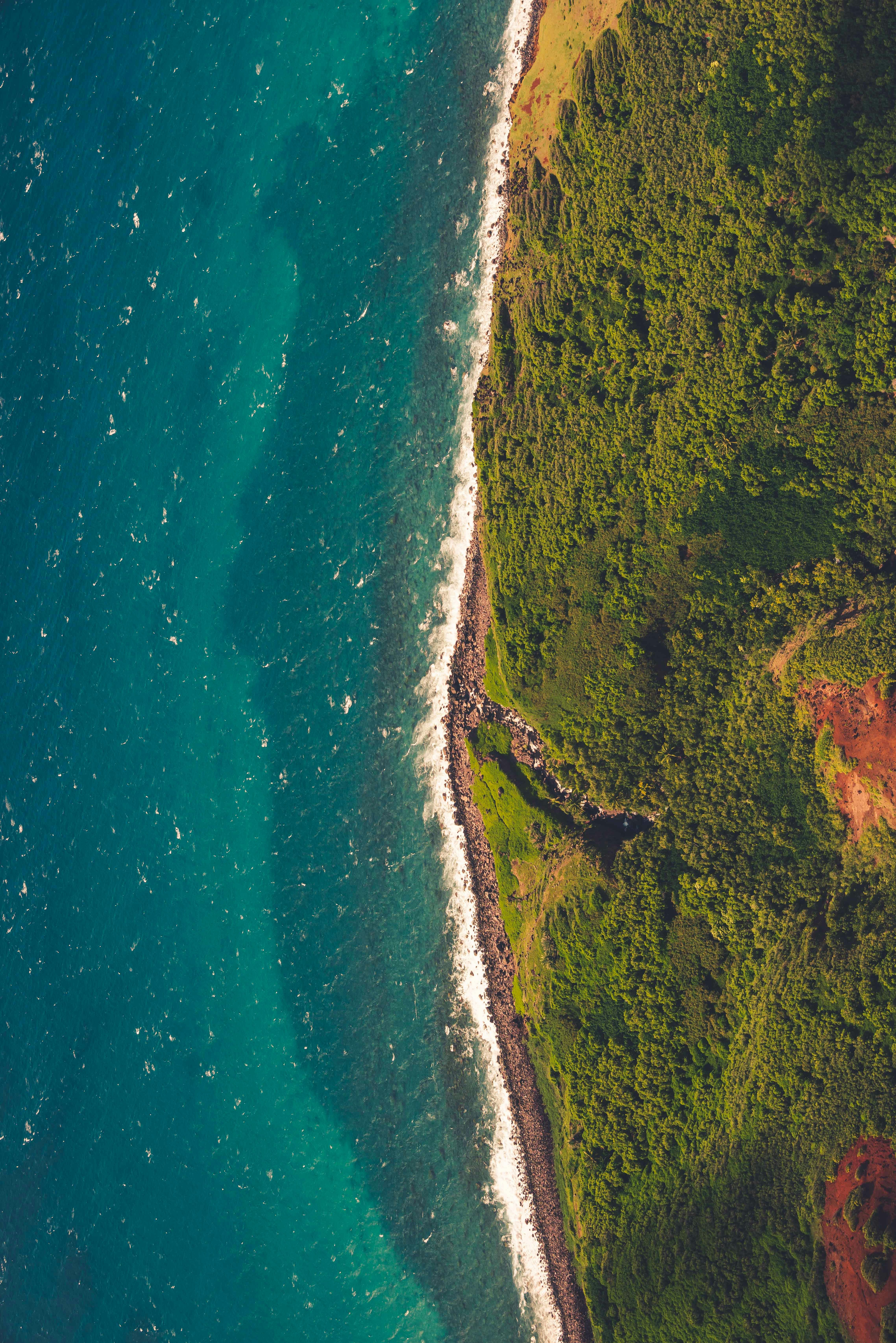 Aerial view of green and brown land beside body of water during daytime ...