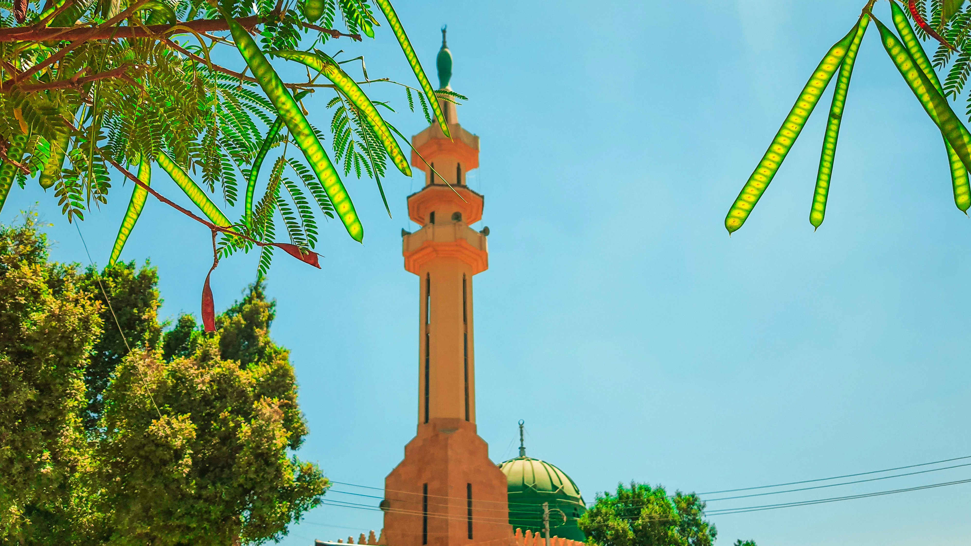 A tall minaret rises above a vibrant green landscape, framed by leafy branches under a clear blue sky.