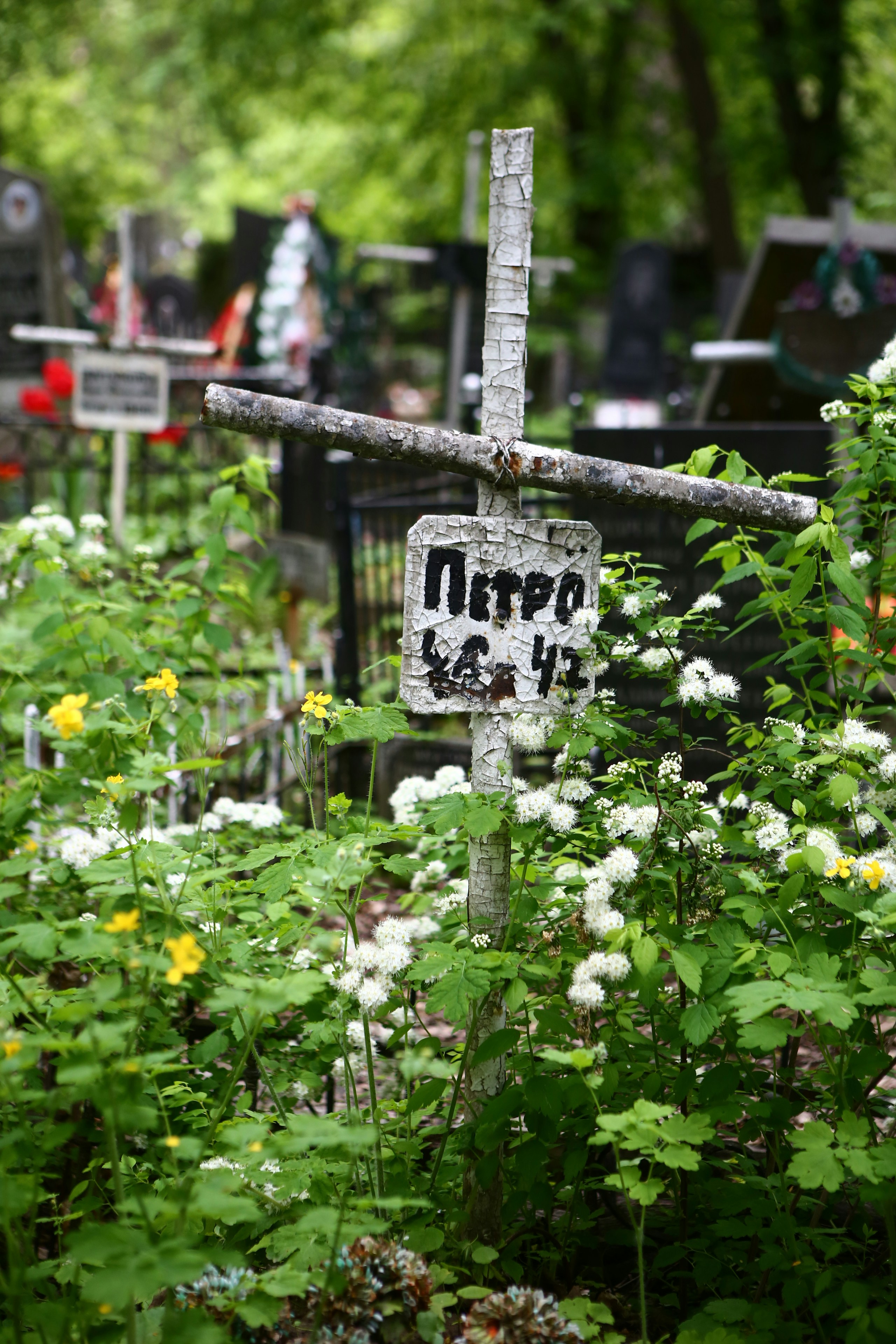 Weathered cross tucked among lush greenery in a quiet cemetery