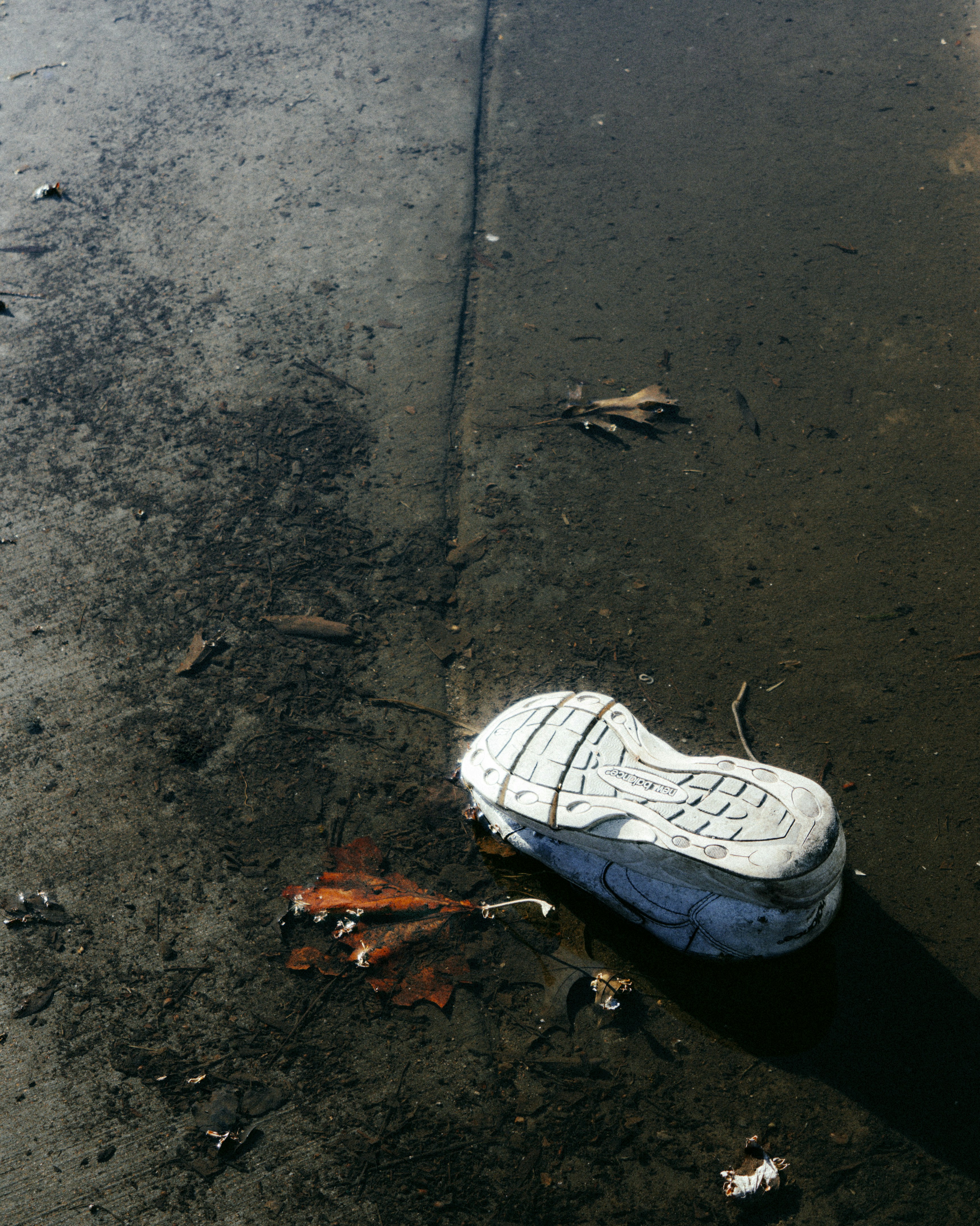Photograph of a lone white sneaker on a rain-washed sidewalk. Scattered leaves and a deep shadow add mood.