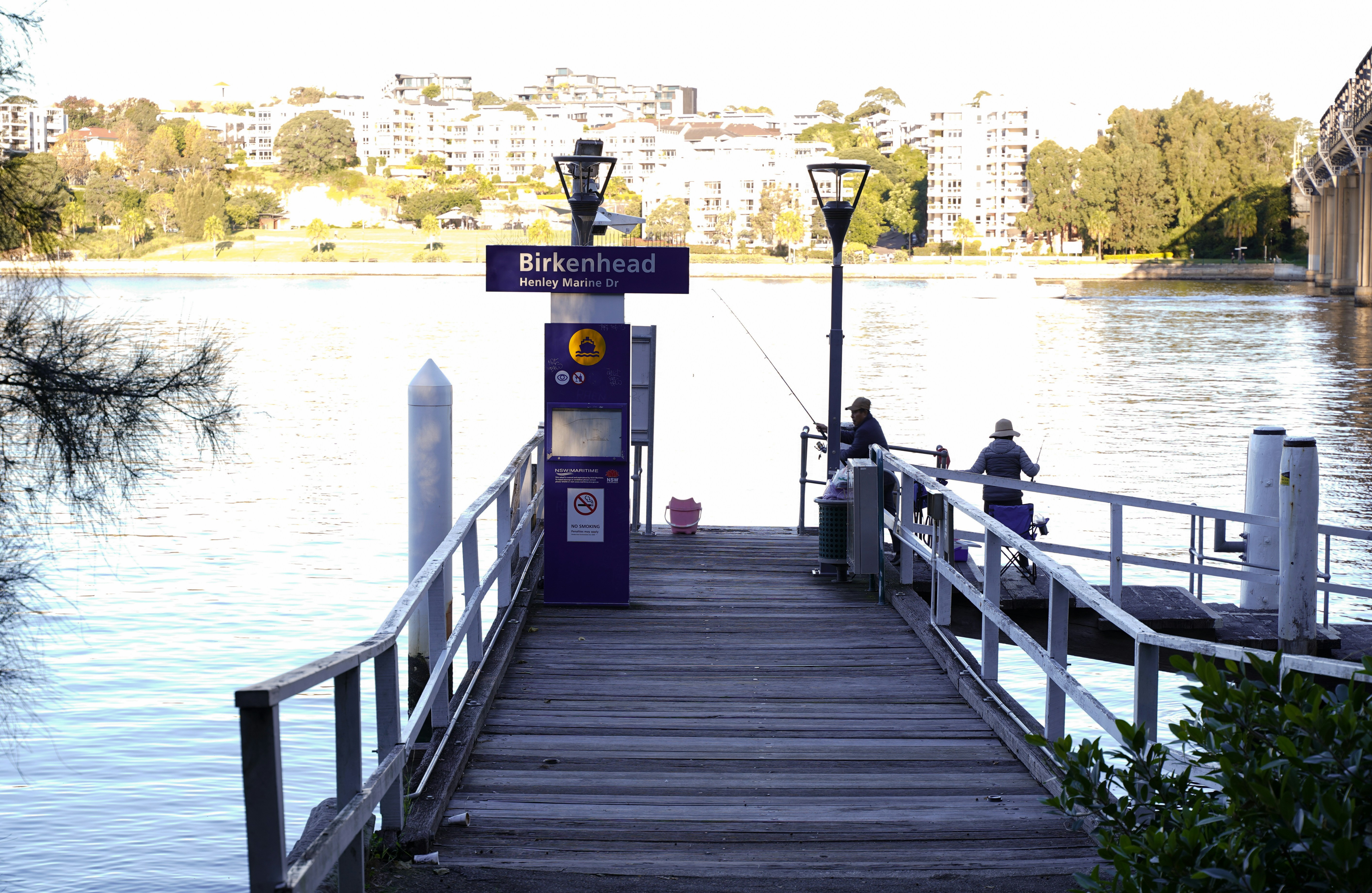 Wooden dock extending into a serene river, flanked by trees and urban buildings in the distance.