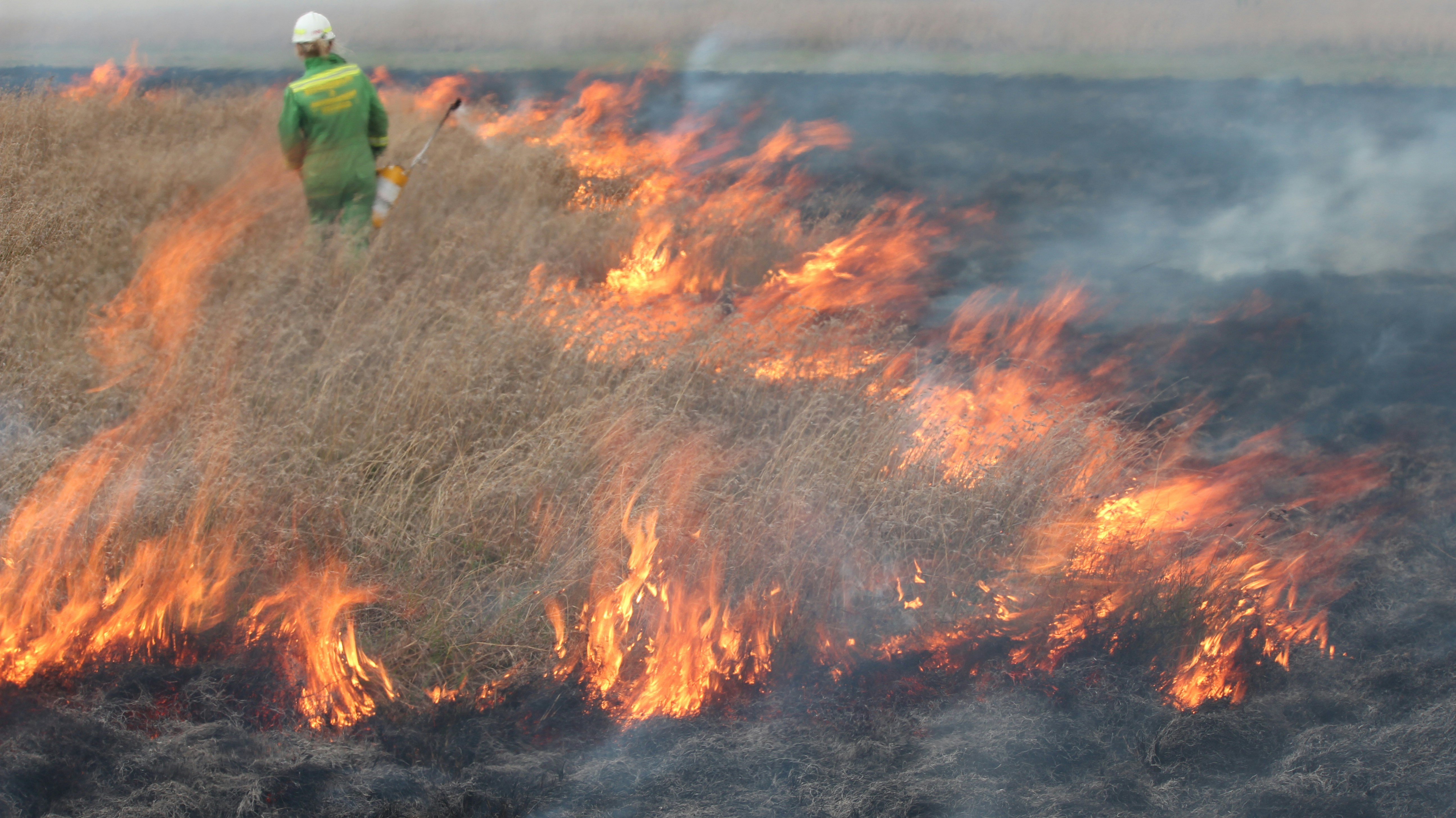 Frontline Ember: Firefighter in Green Battles a Grassland Blaze