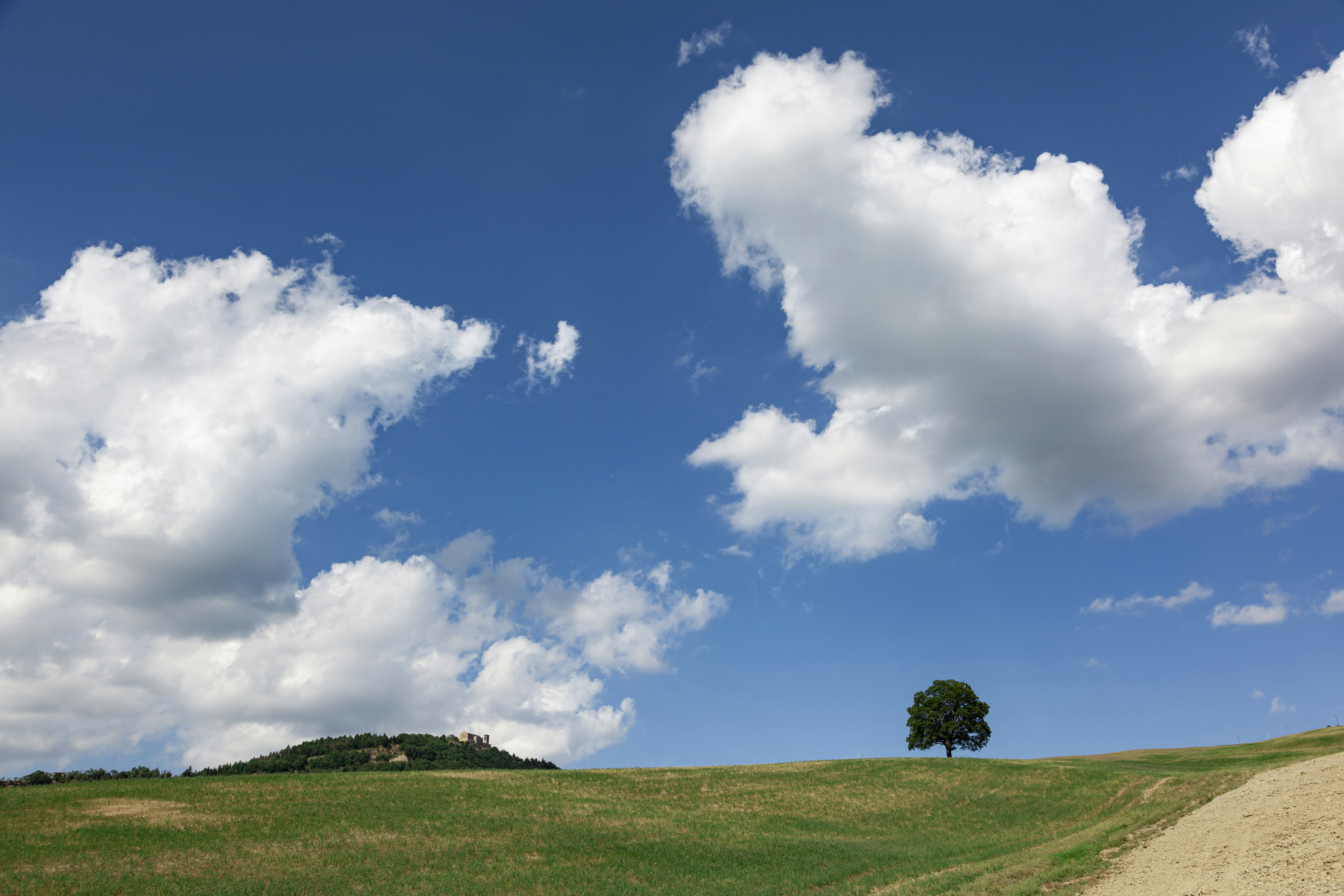 Lone tree stands on a gentle hill under a vast blue sky adorned with fluffy clouds. The scene captures the tranquility of open landscapes.