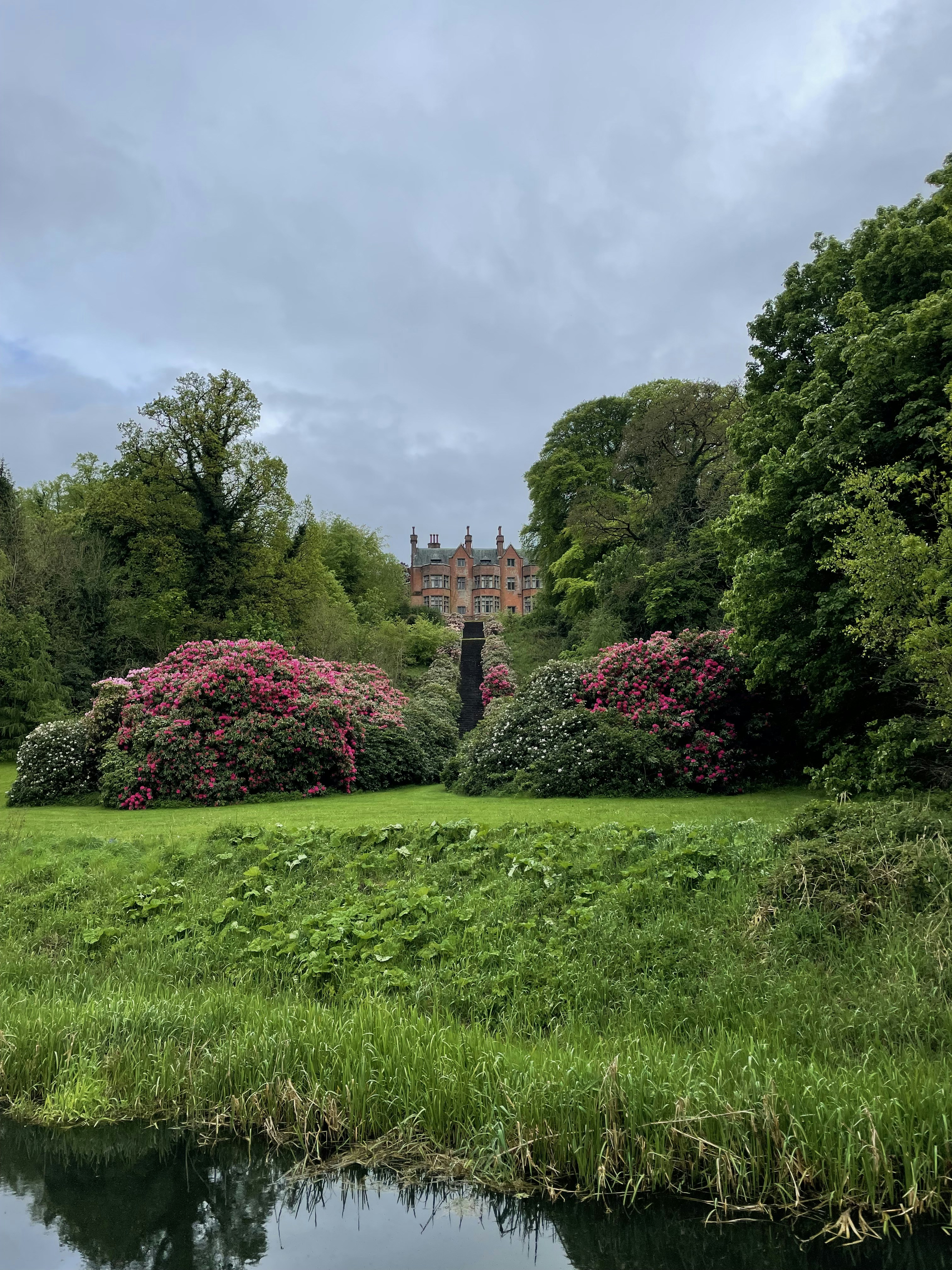 Sample photo from Apple iPhone 12 Pro