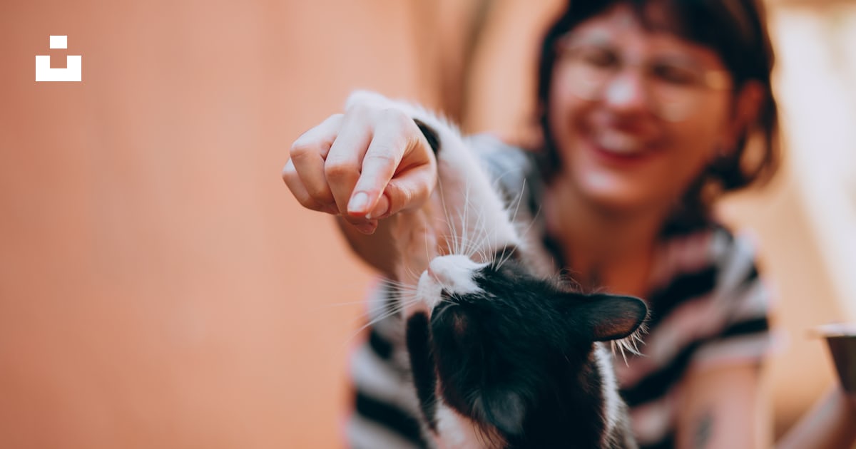 黒と白の猫を抱く黒と白の縞模様のシャツを着た女性の写真 Unsplashの人間の無料画像