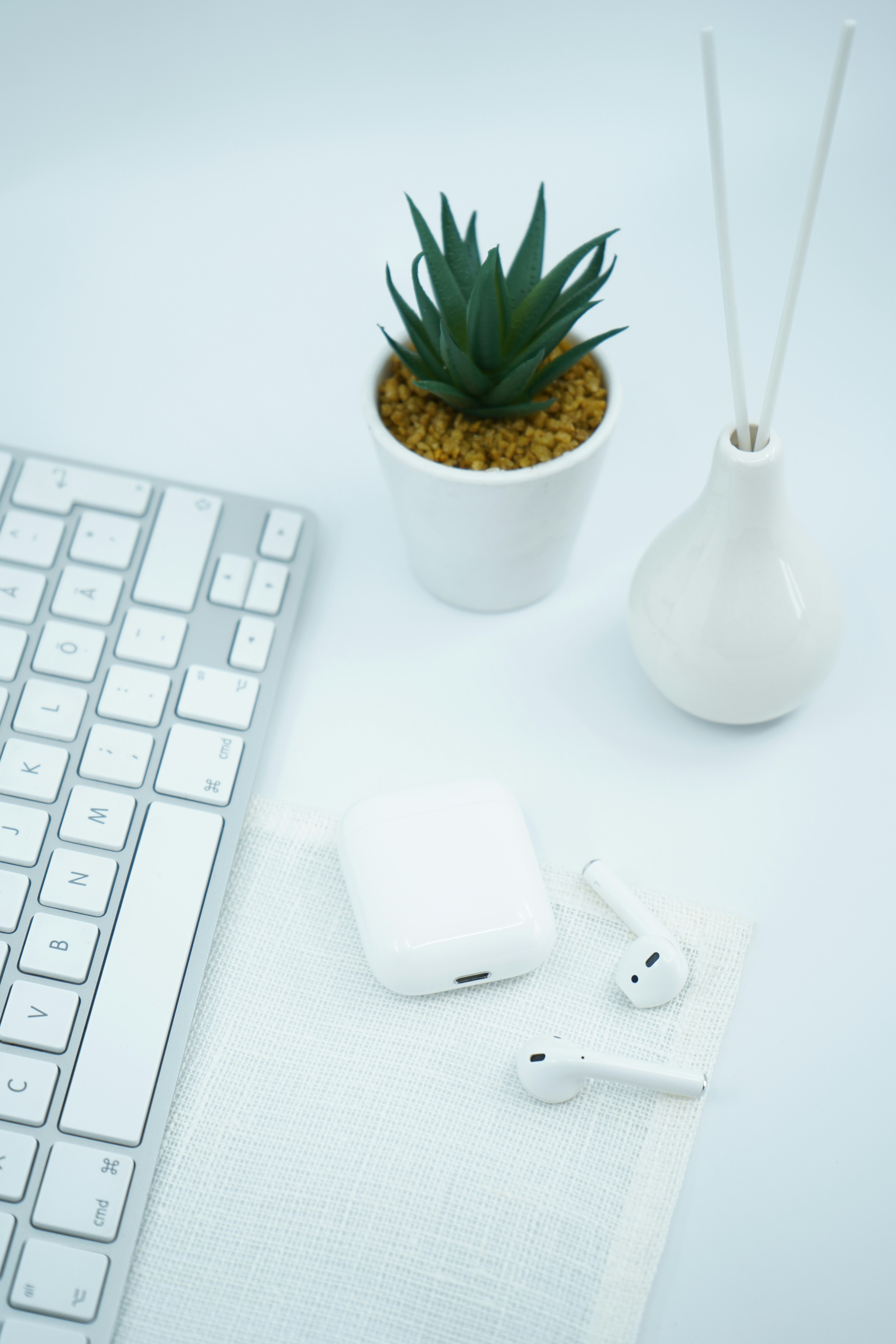 AirPods in White: A Minimal Desk Moment Framed by a Succulent and Ceramic Diffuser