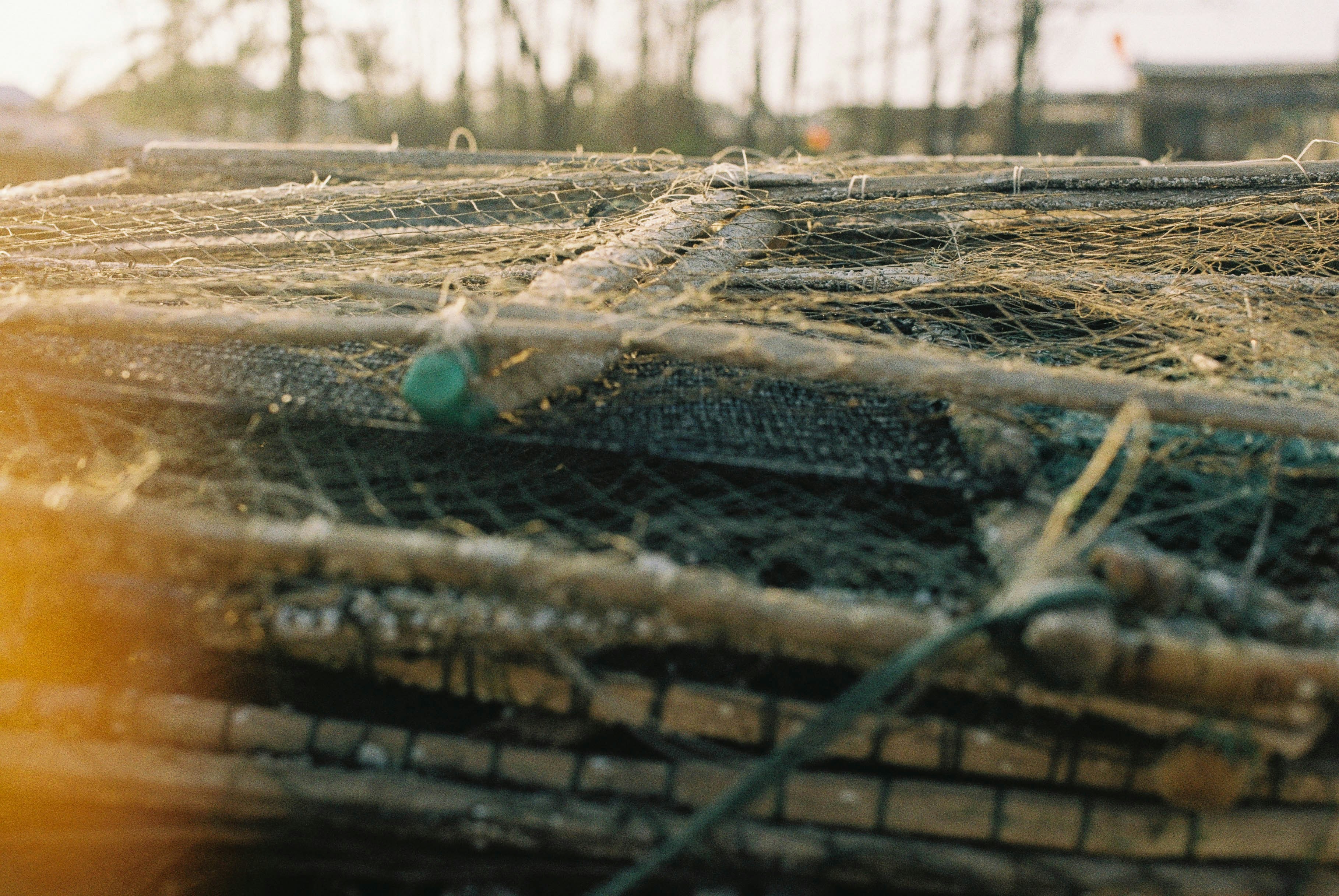 Green tag on weathered construction mesh bathed in late-afternoon sun