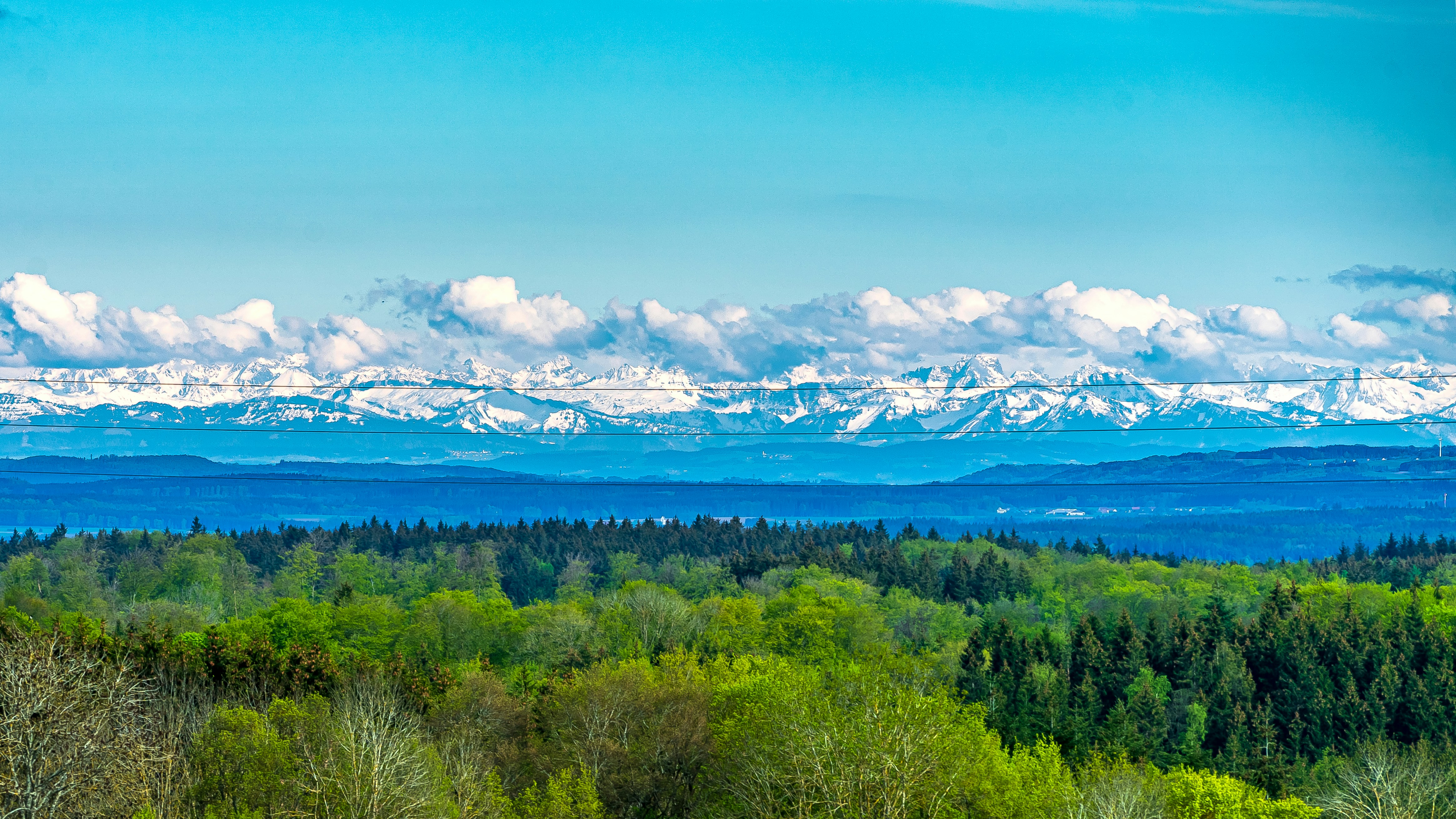 Snow-Capped Ridge Beyond a Verdant Foothill