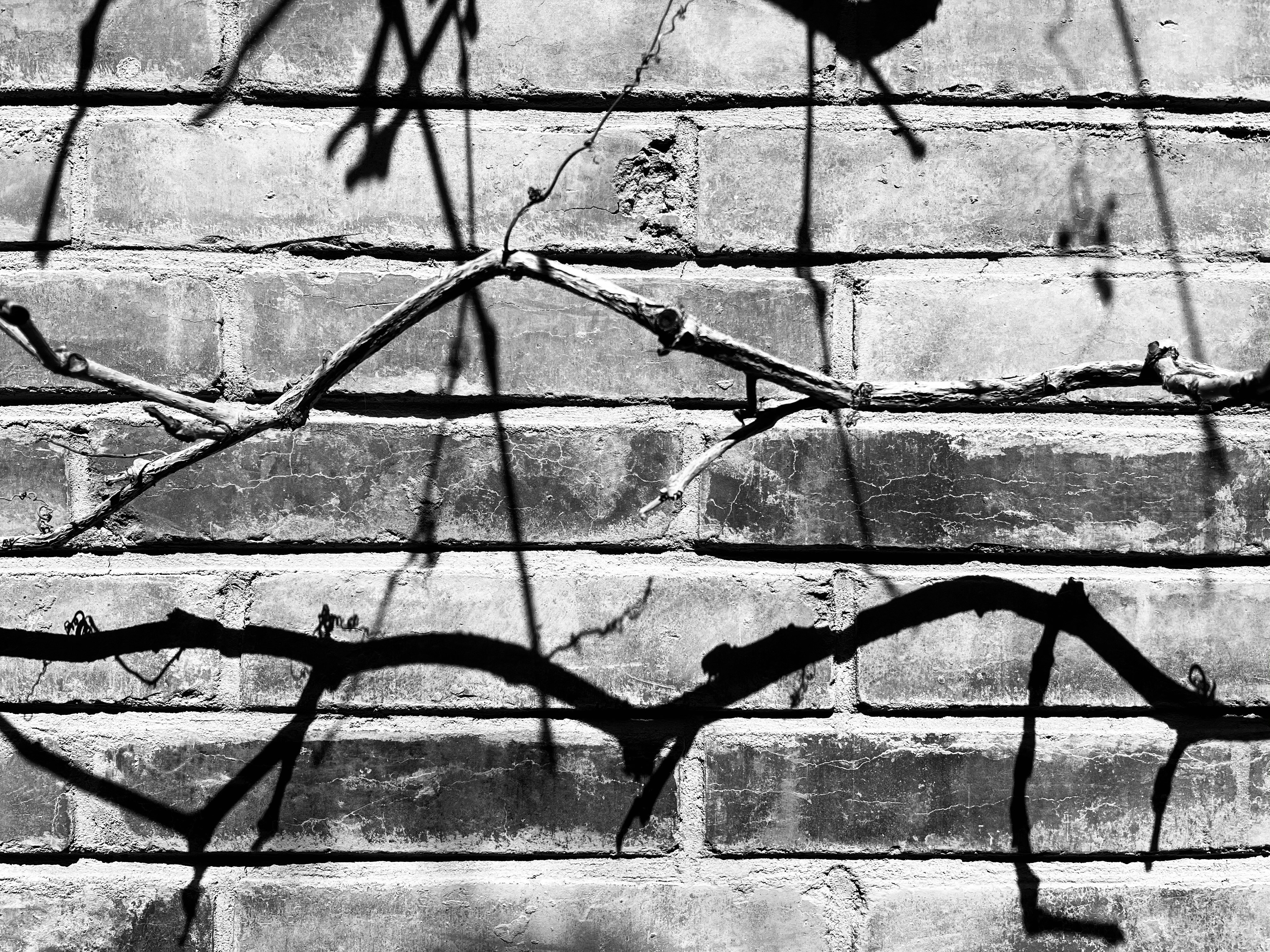 #wall