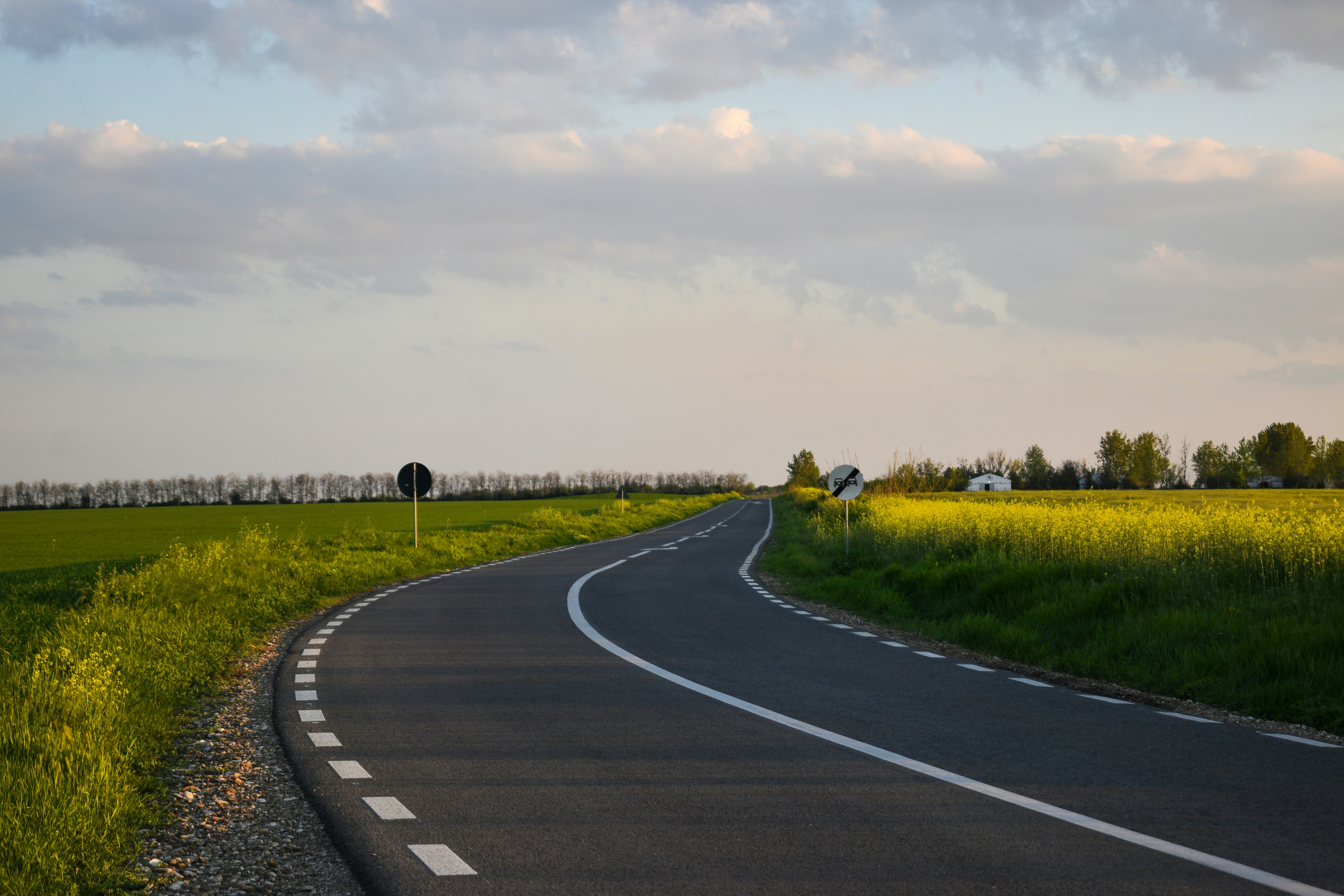 Gray asphalt road between green grass field under white cloudy sky during daytime photo – Free ...