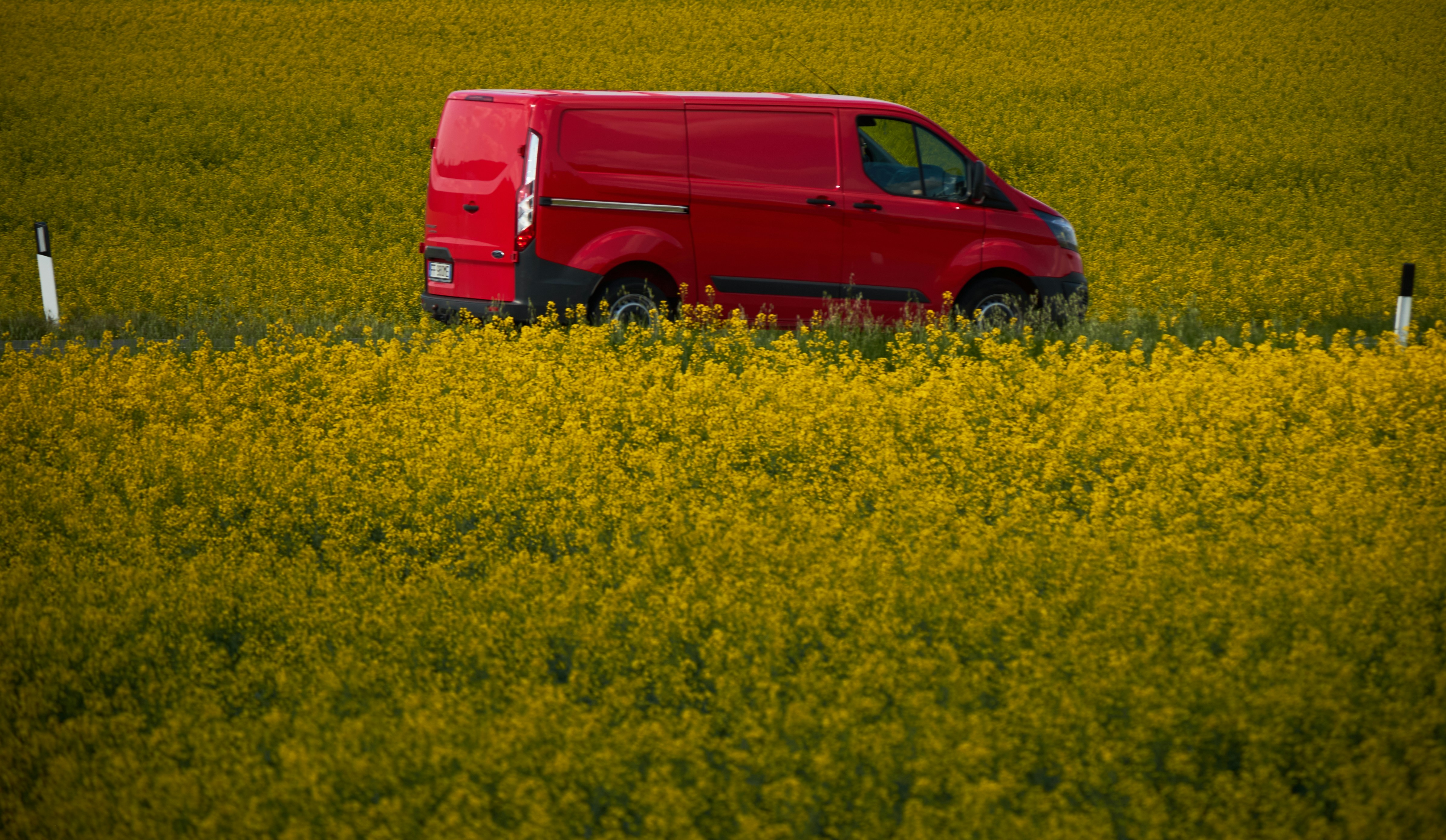 Red suv on yellow flower field during daytime photo – Free ...