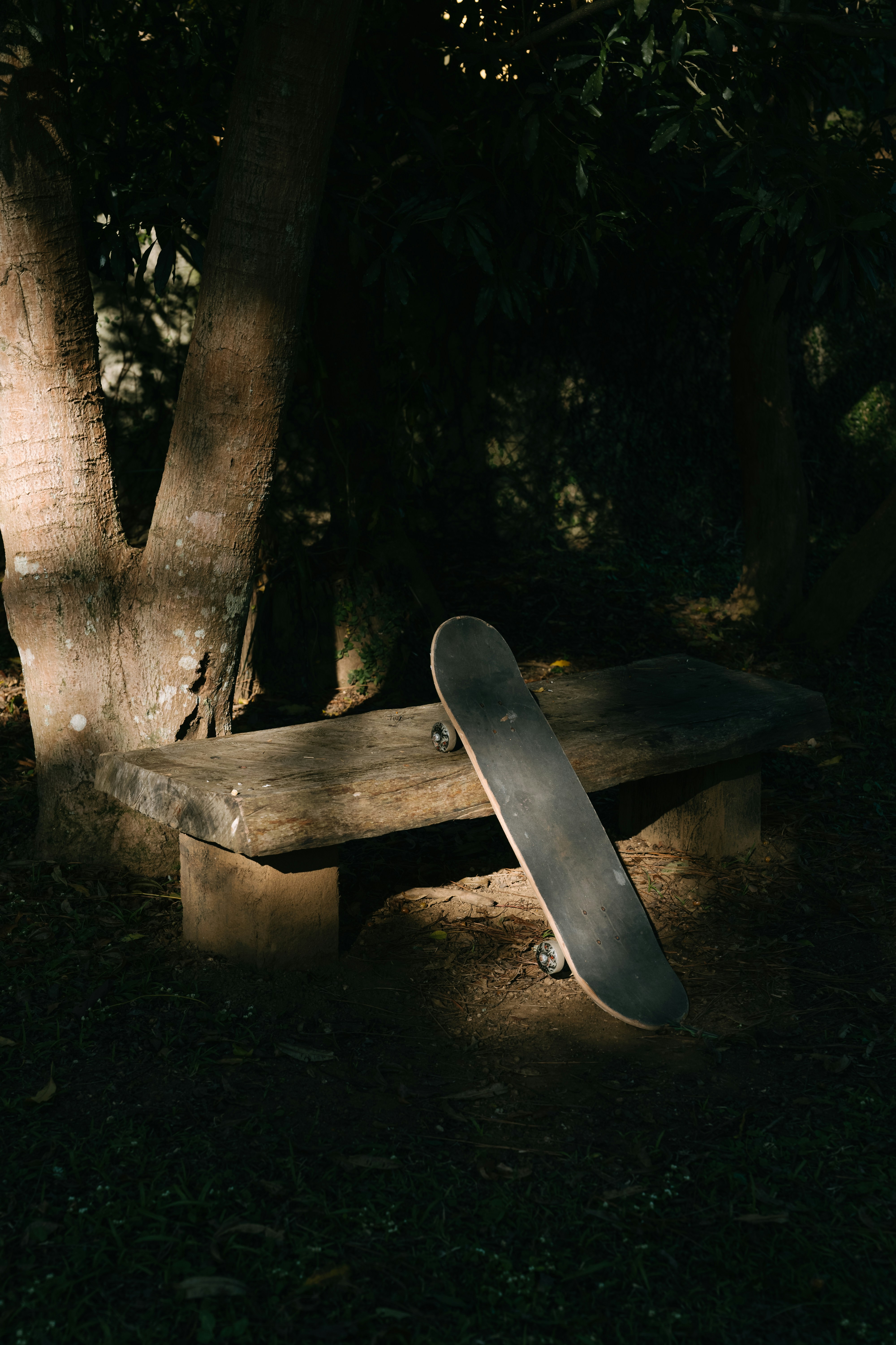 brown wooden picnic table surrounded by green trees