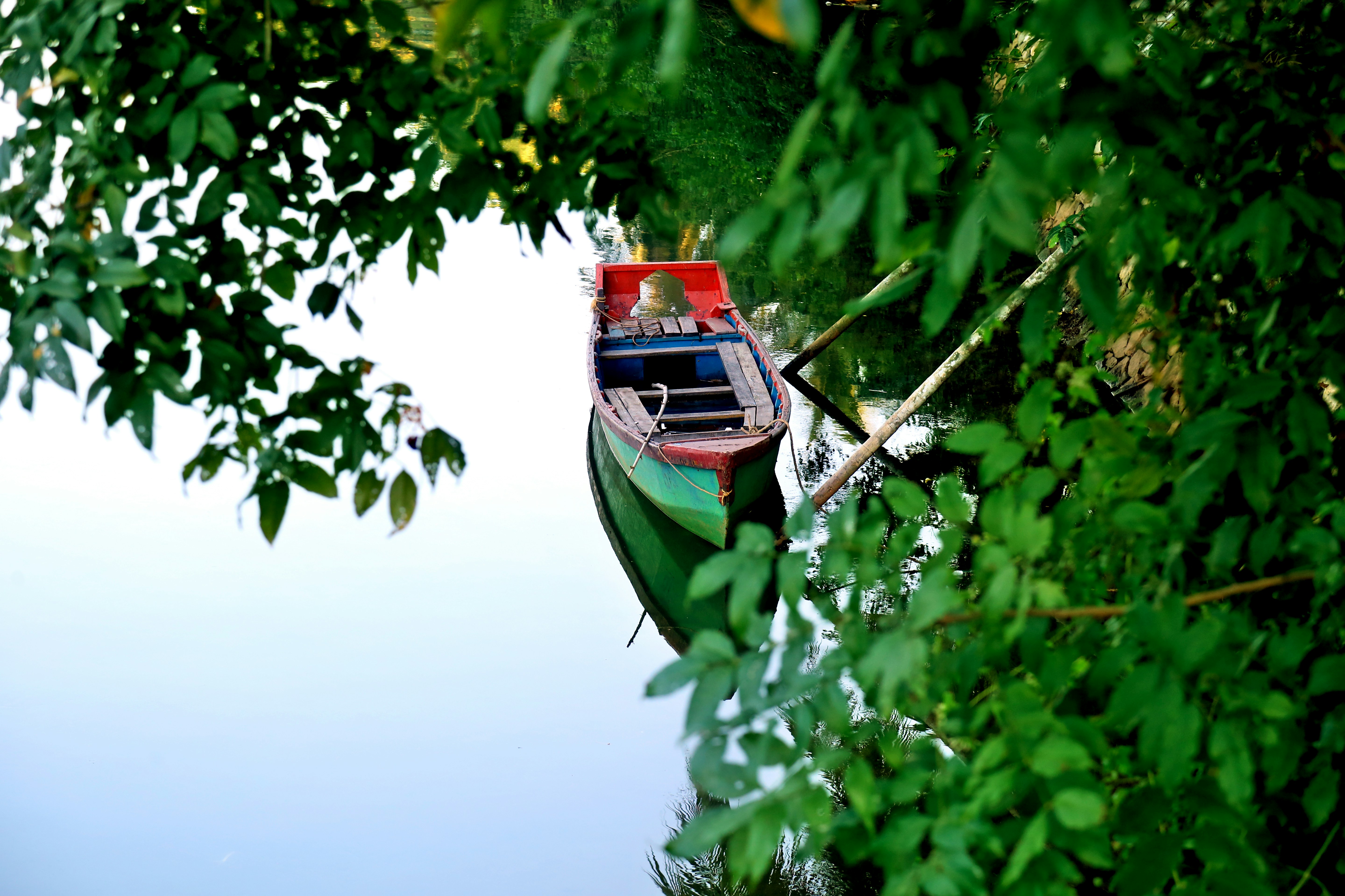 Crimson-Trim Boat Resting Between Verdant Canopy and Calm Water