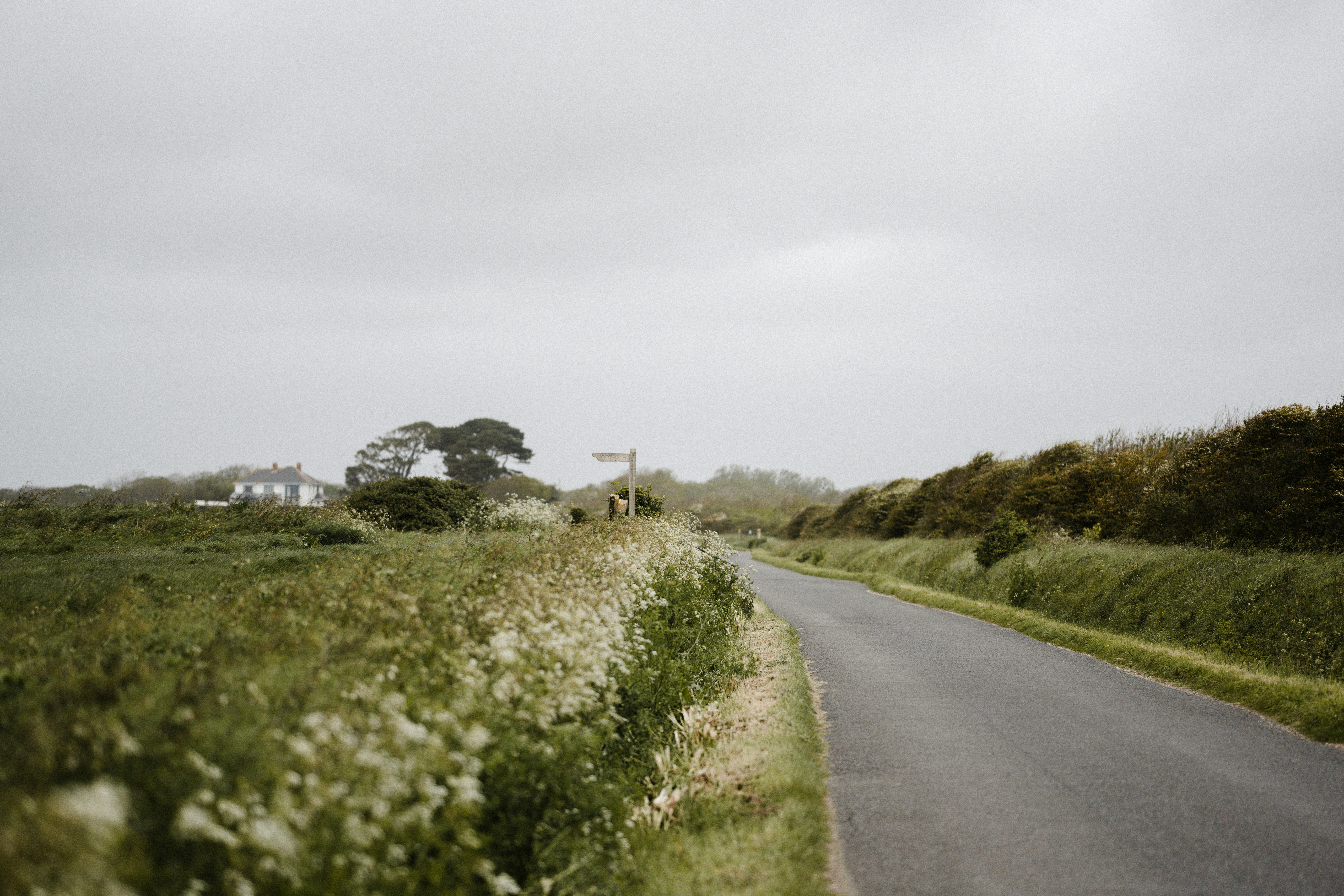 Gray asphalt road between green grass field during daytime photo – Free Road Image on Unsplash