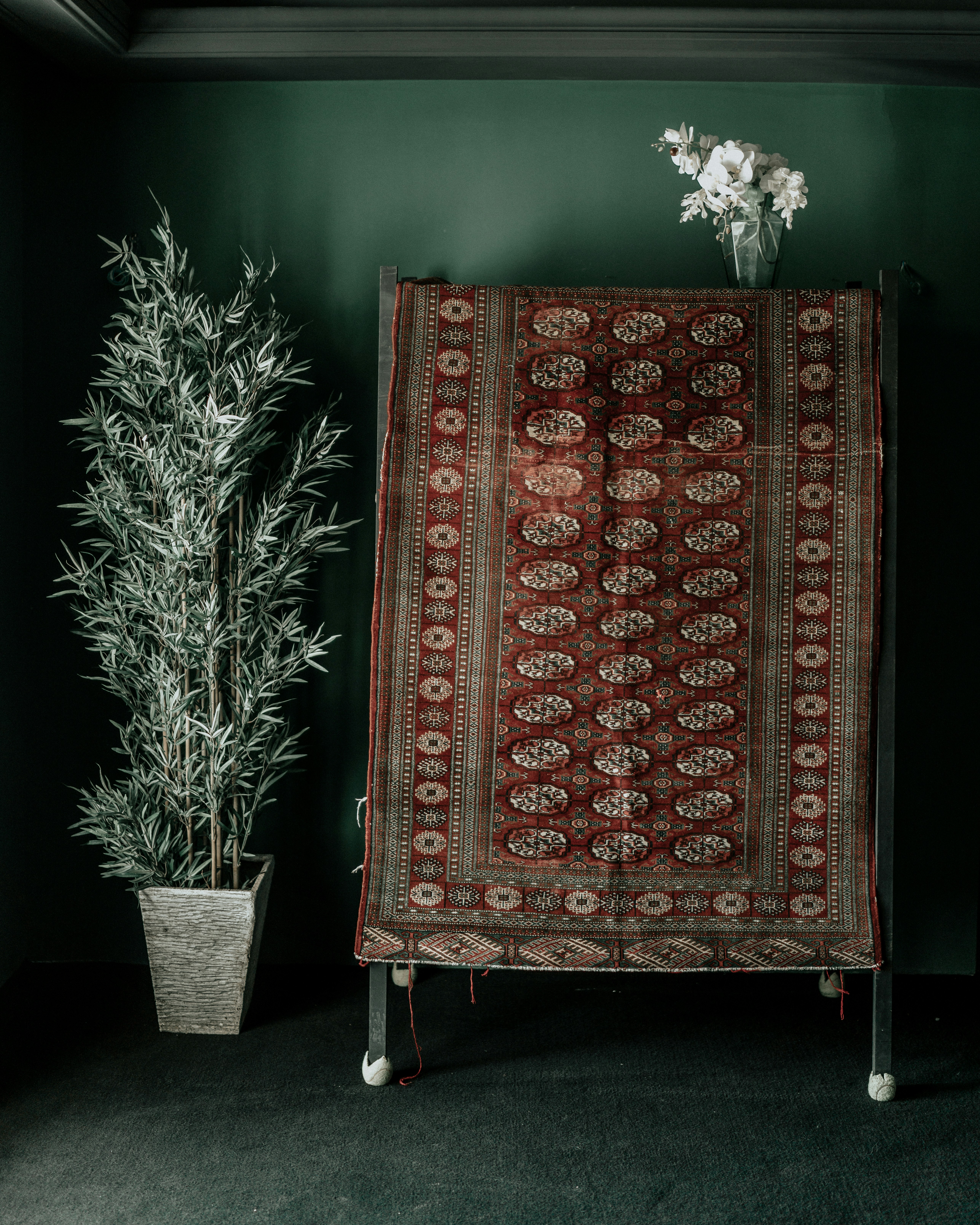A Quiet Corner: Persian Rug Portrait Under Deep Green