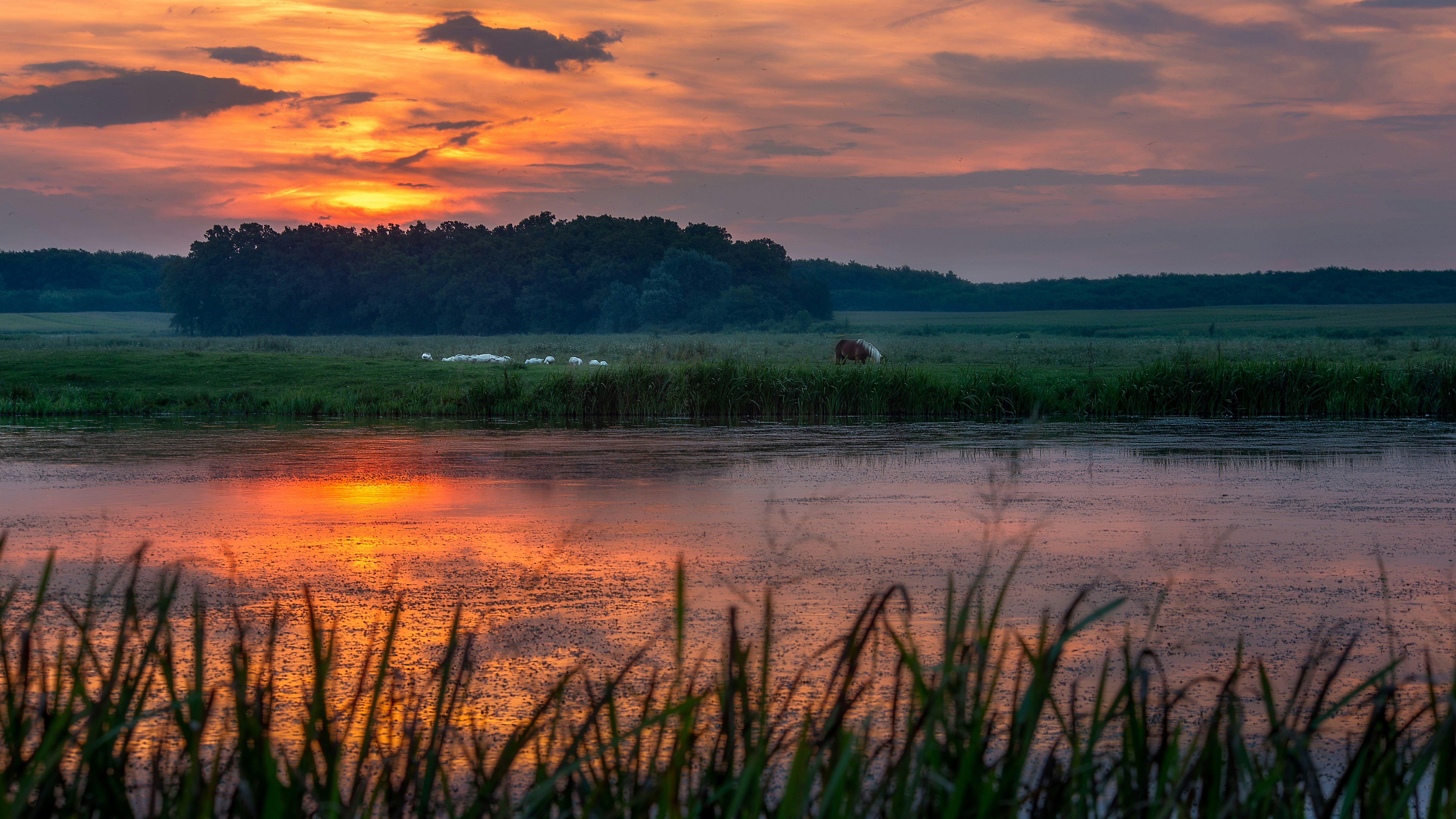 Green grass field near lake during sunset photo – Free Nature Image on ...