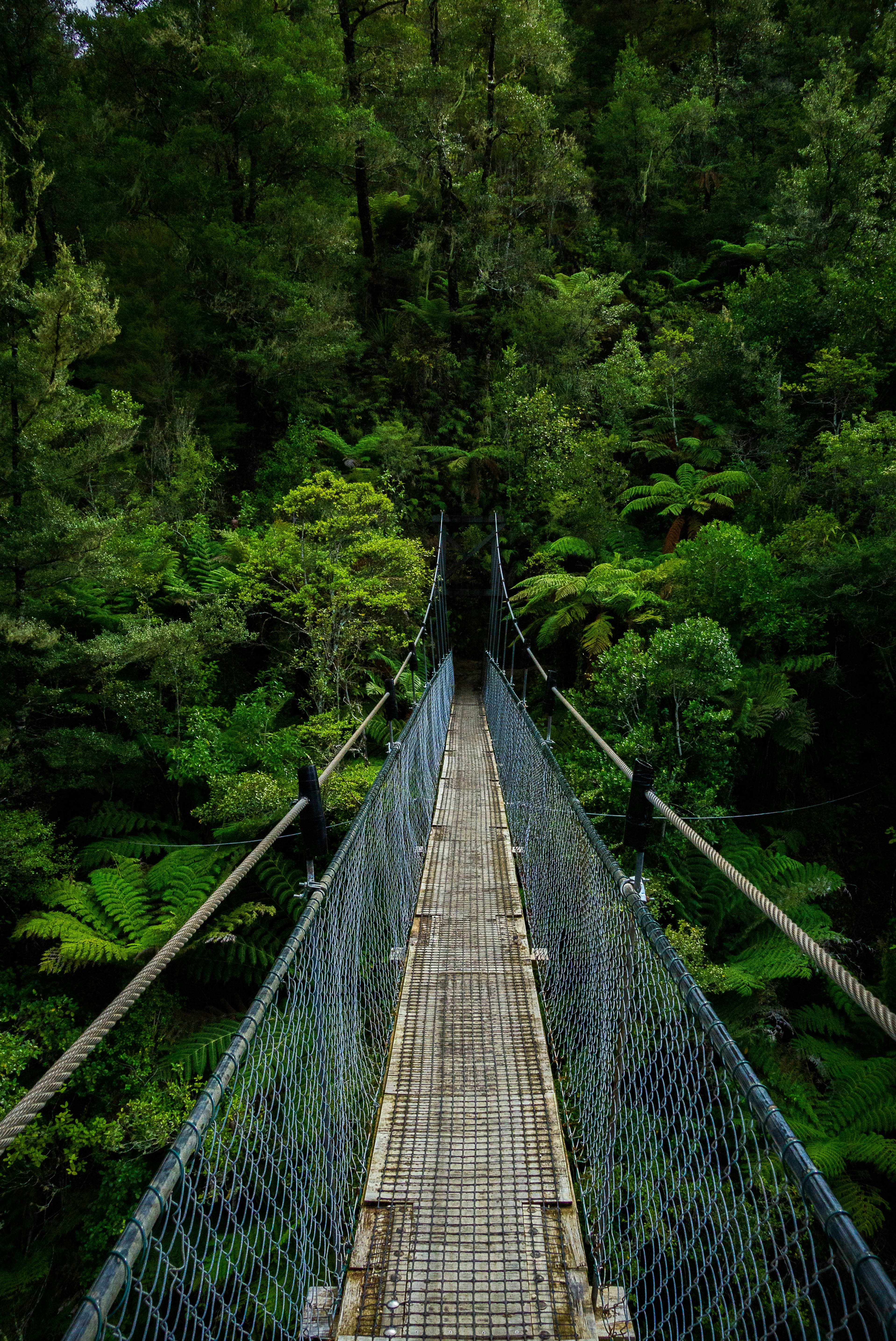 Brown wooden hanging bridge surrounded by green trees during daytime ...