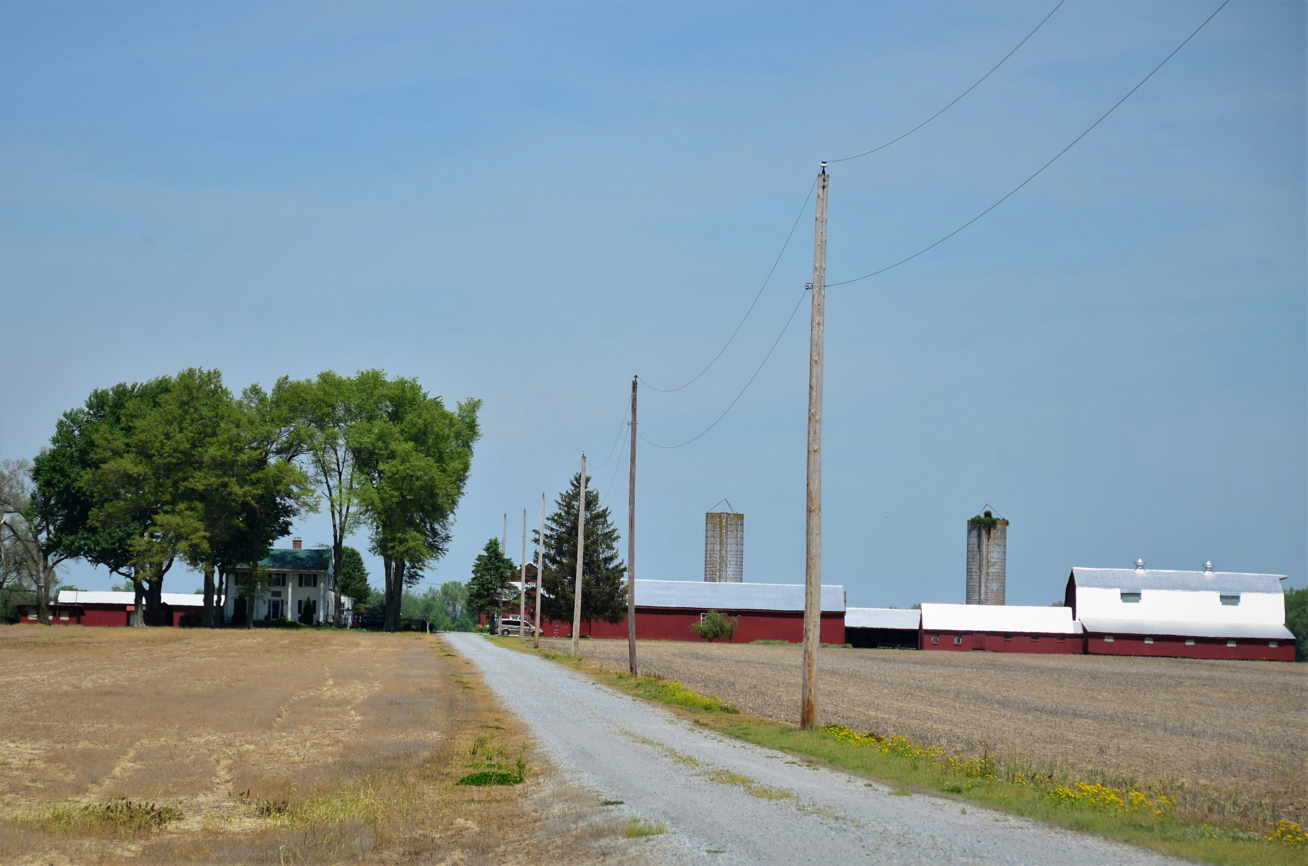 Dusty gravel road toward a quiet farming horizon