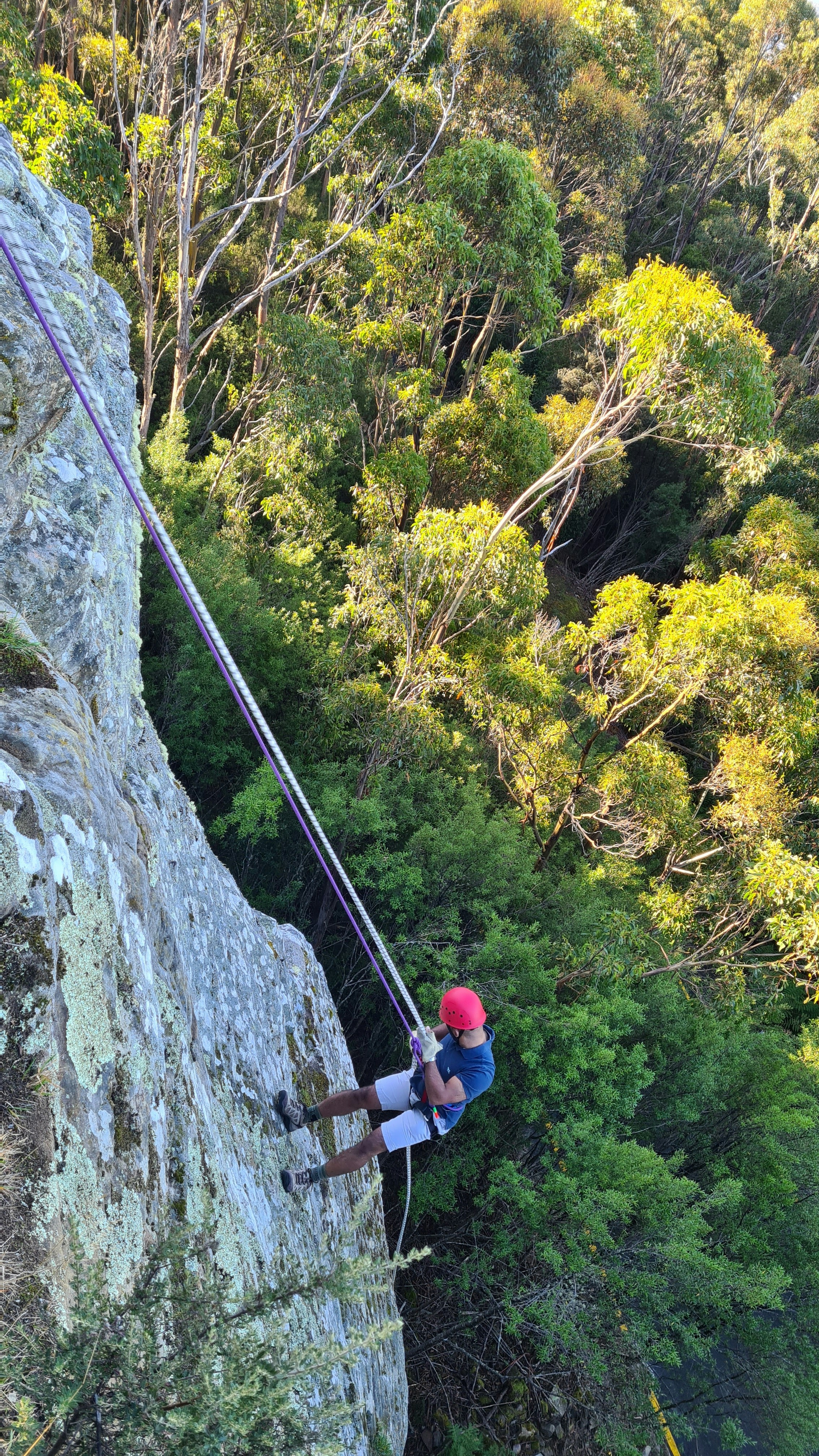Edge Climb: A climber navigates a sunlit cliff with purple rope over a green canopy