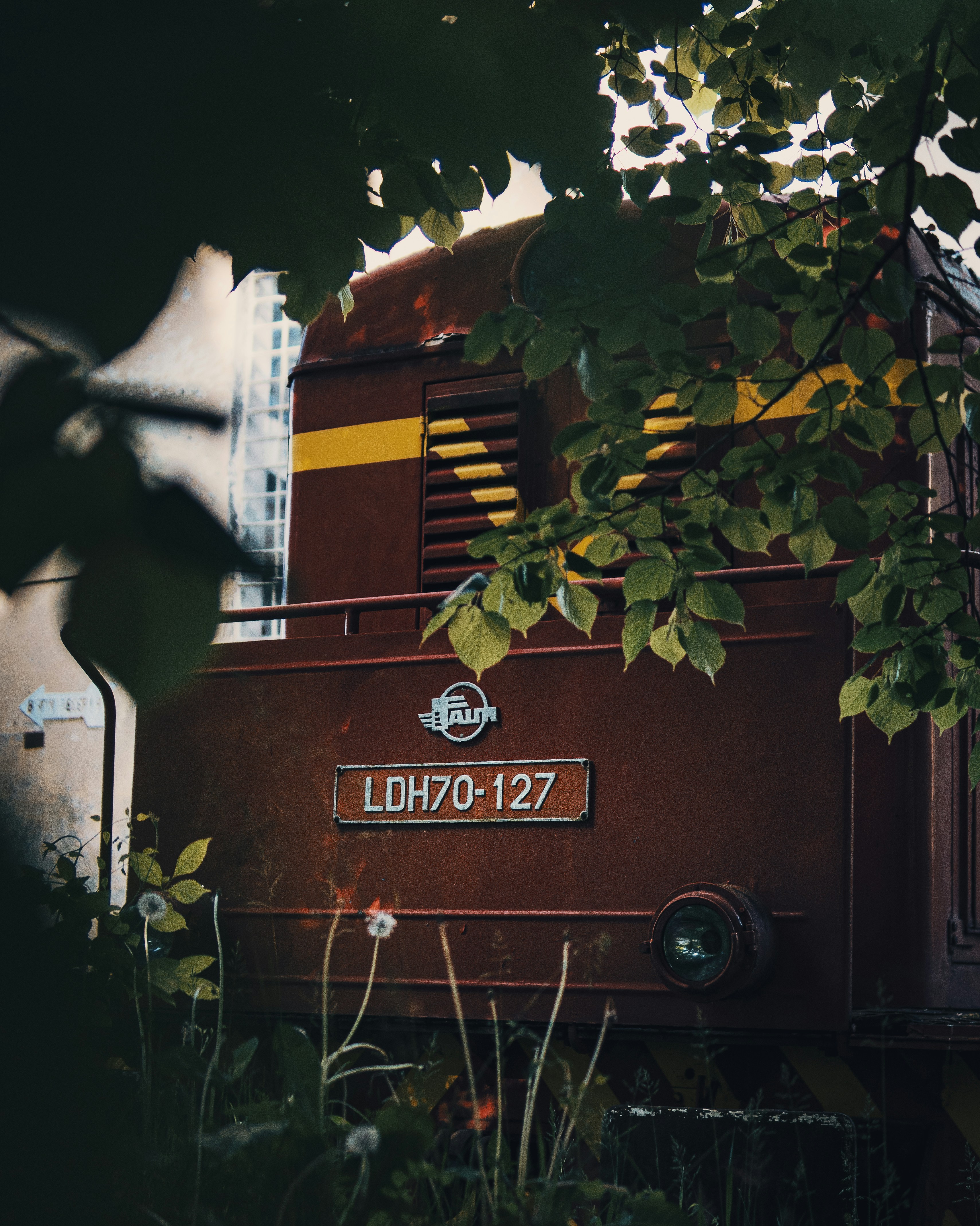 An old locomotive, partially obscured by lush greenery, evokes a sense of nostalgia and forgotten journeys.