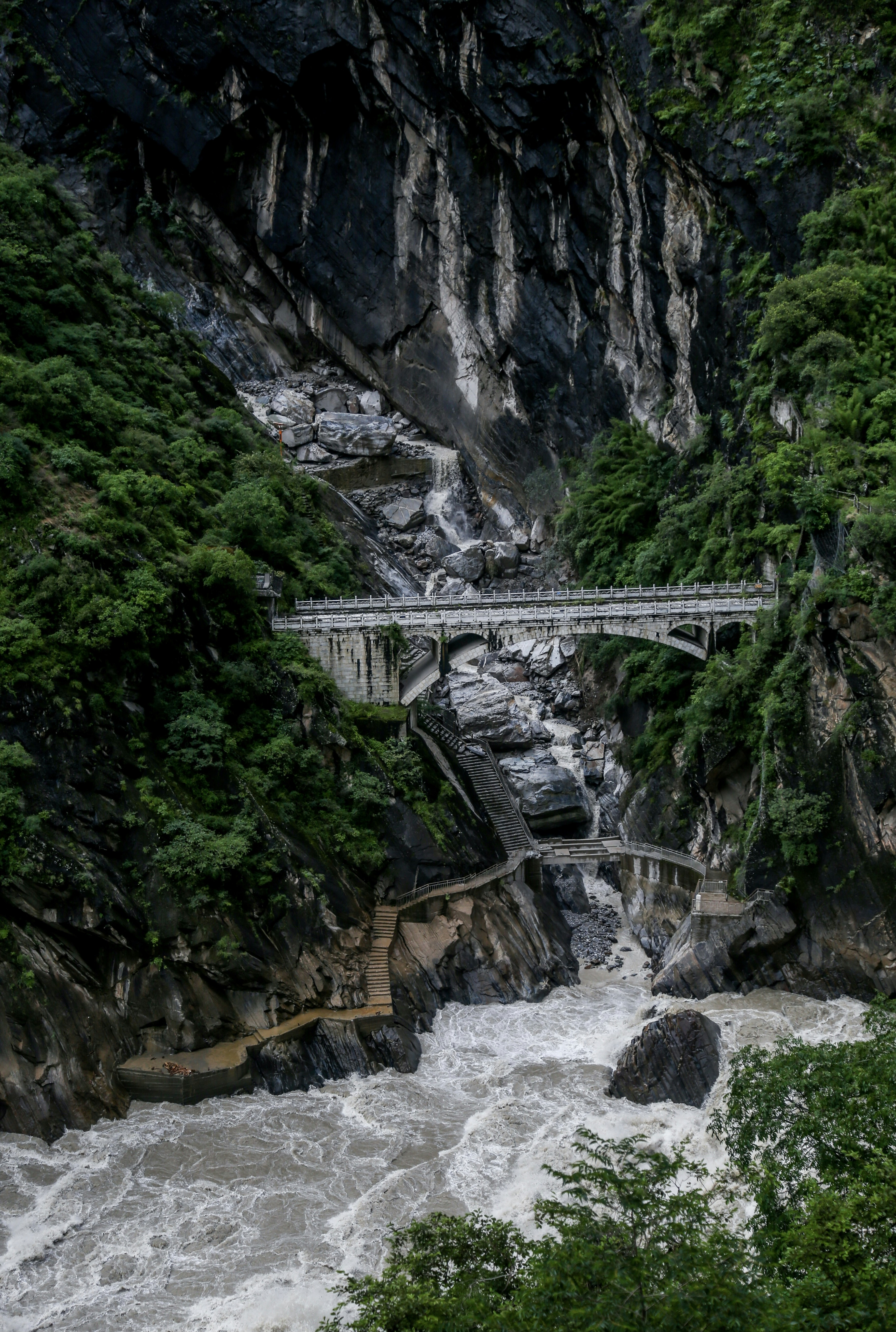 white bridge over river between green trees during daytime