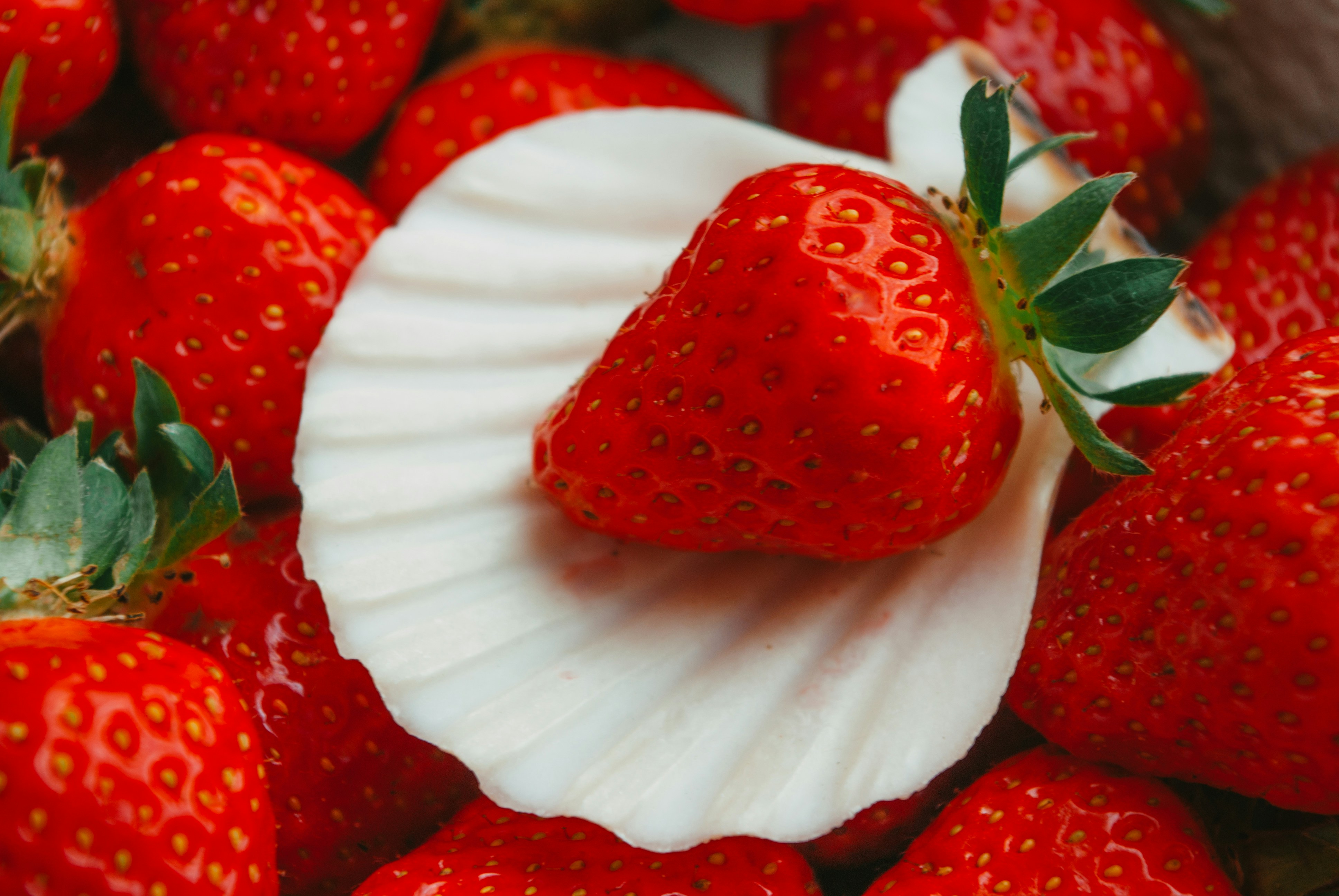 Macro close-up of a ripe strawberry perched on a white, fluted cream disk, surrounded by a sea of red berries. This photograph highlights fresh fruit texture.