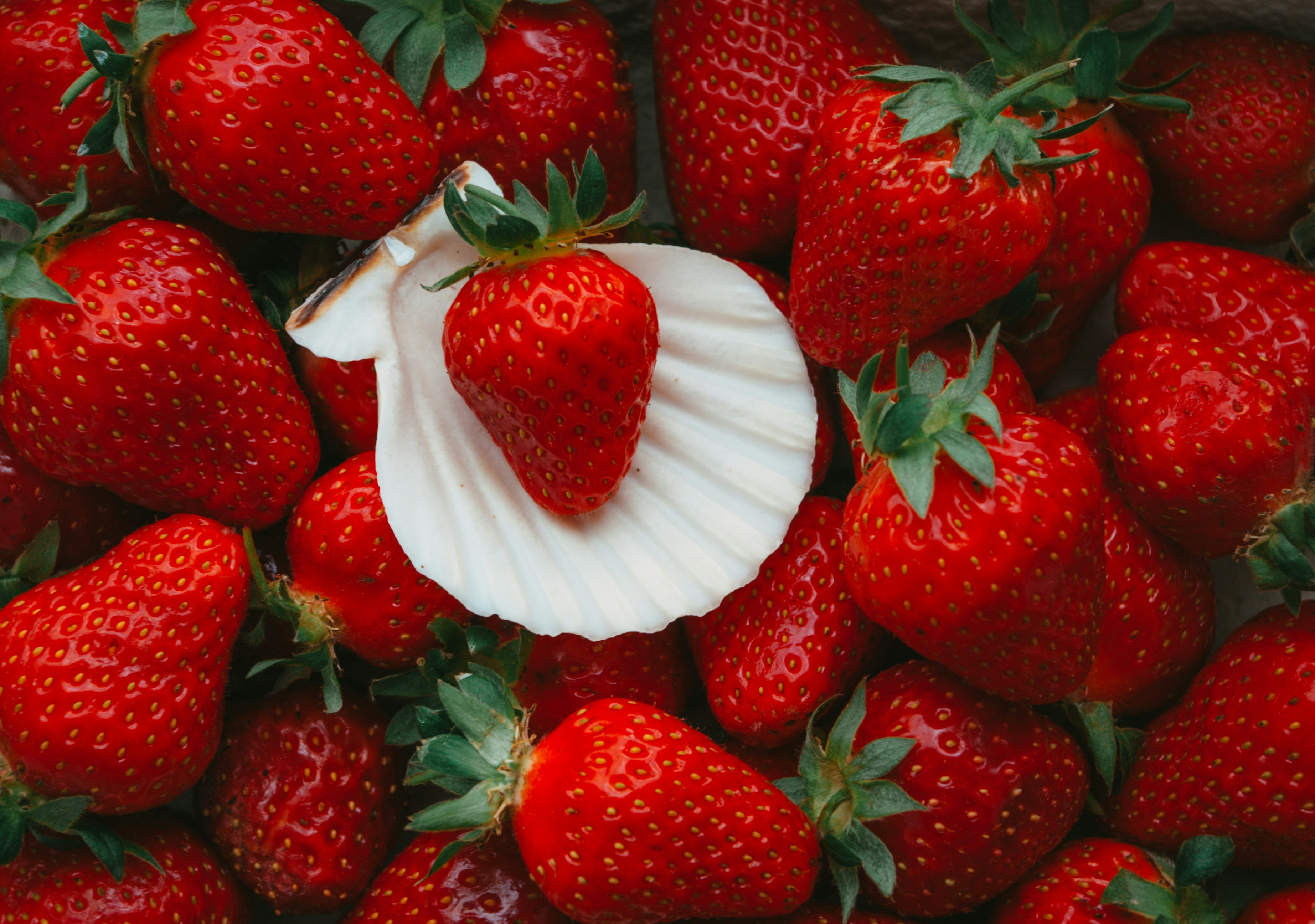A vibrant arrangement of fresh strawberries with one elegantly placed on a white shell, highlighting the fruit's natural beauty.