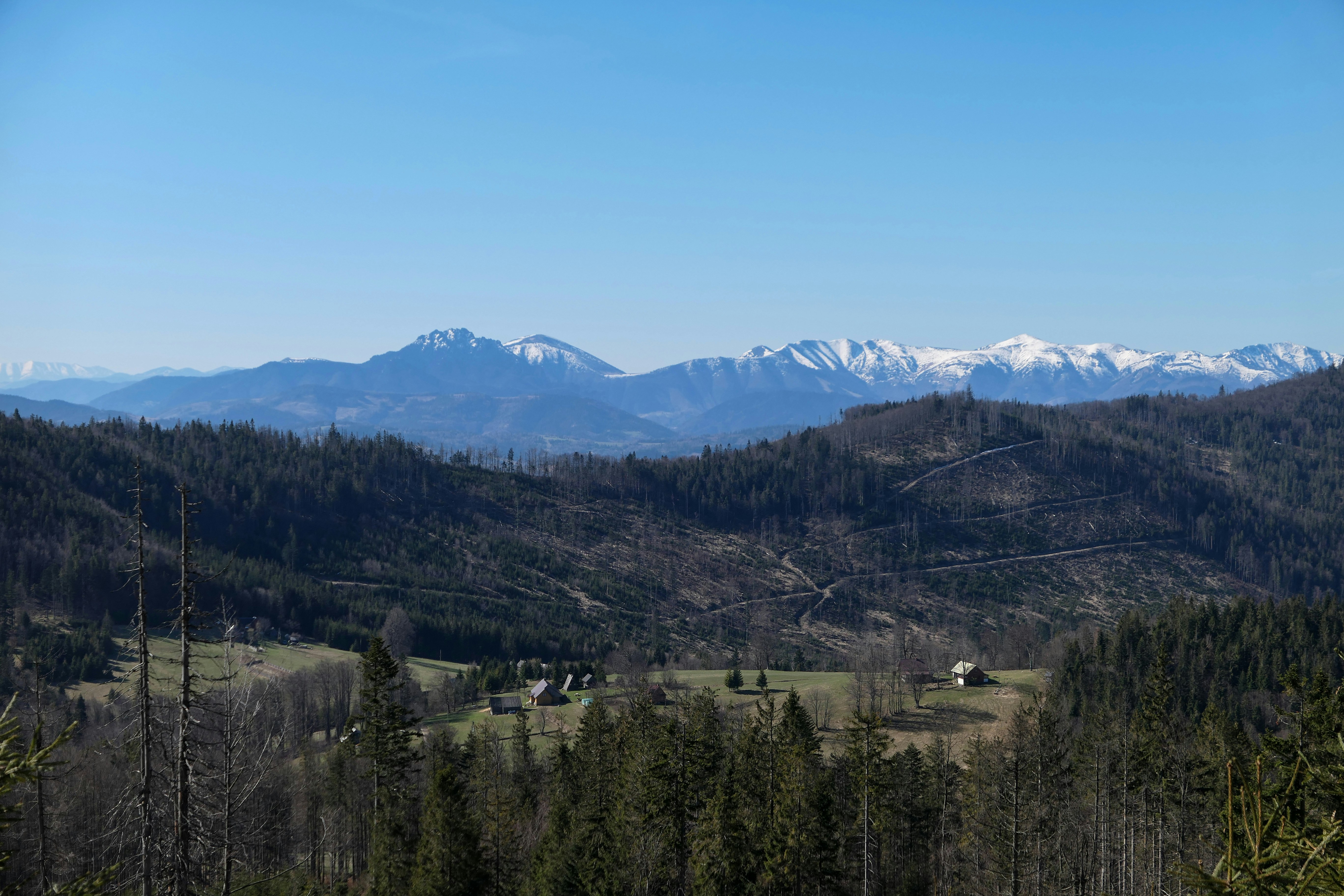 Whispers of the Alpine Horizon