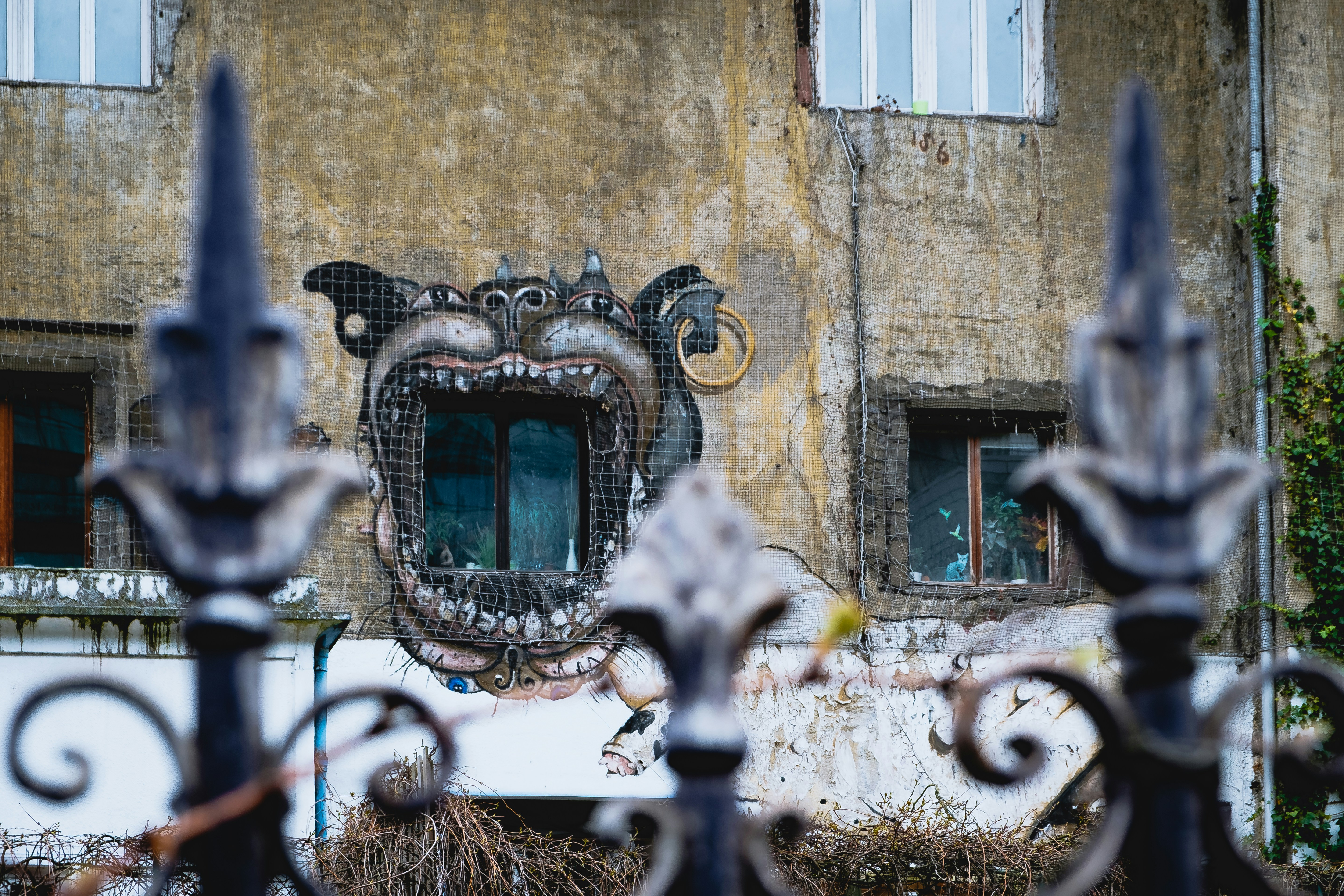 Dragon-Mouth Gargoyle Rising From a Weathered Facade, Framed by Ornate Ironwork