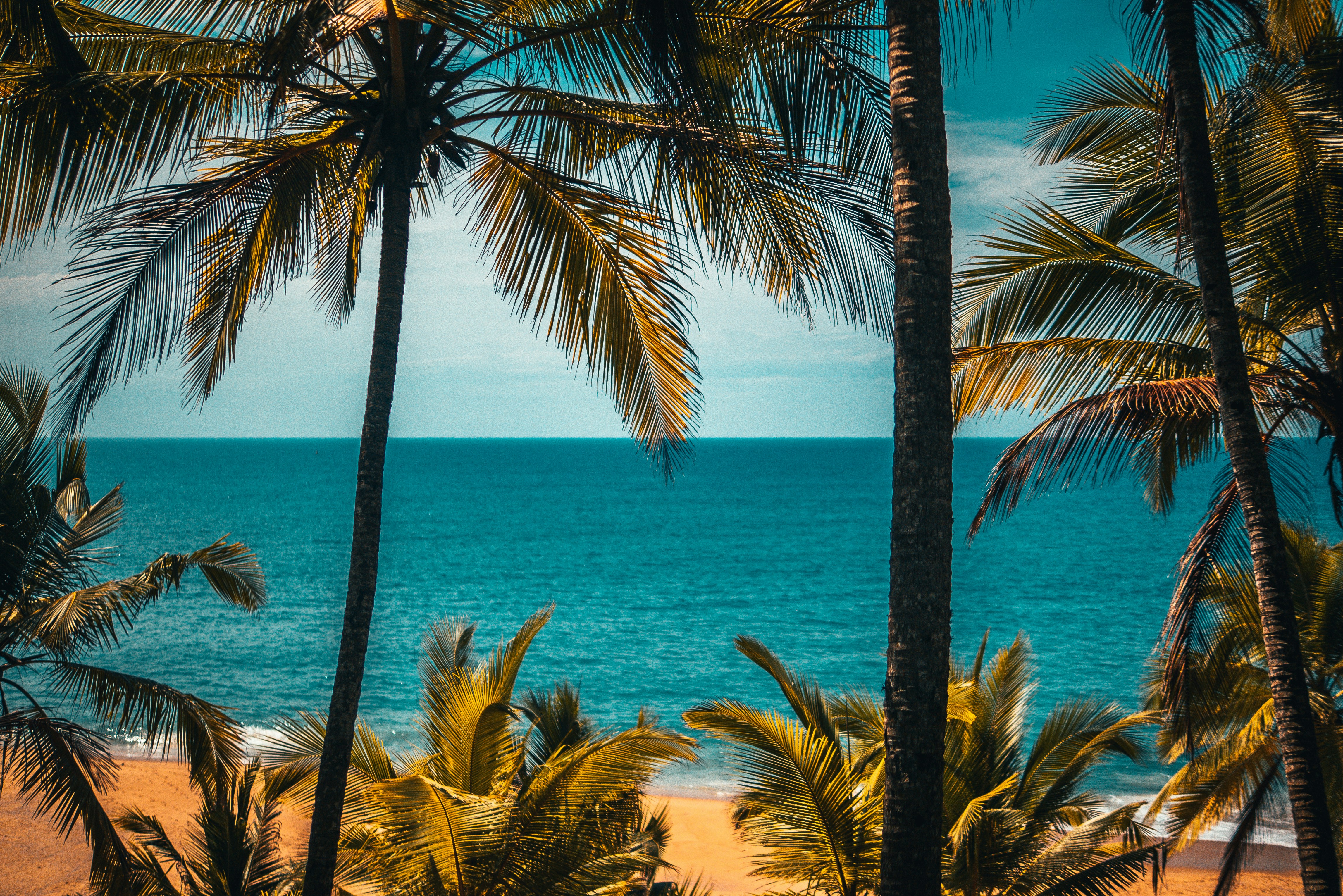 Summer | 100+ best free photos on Unsplash