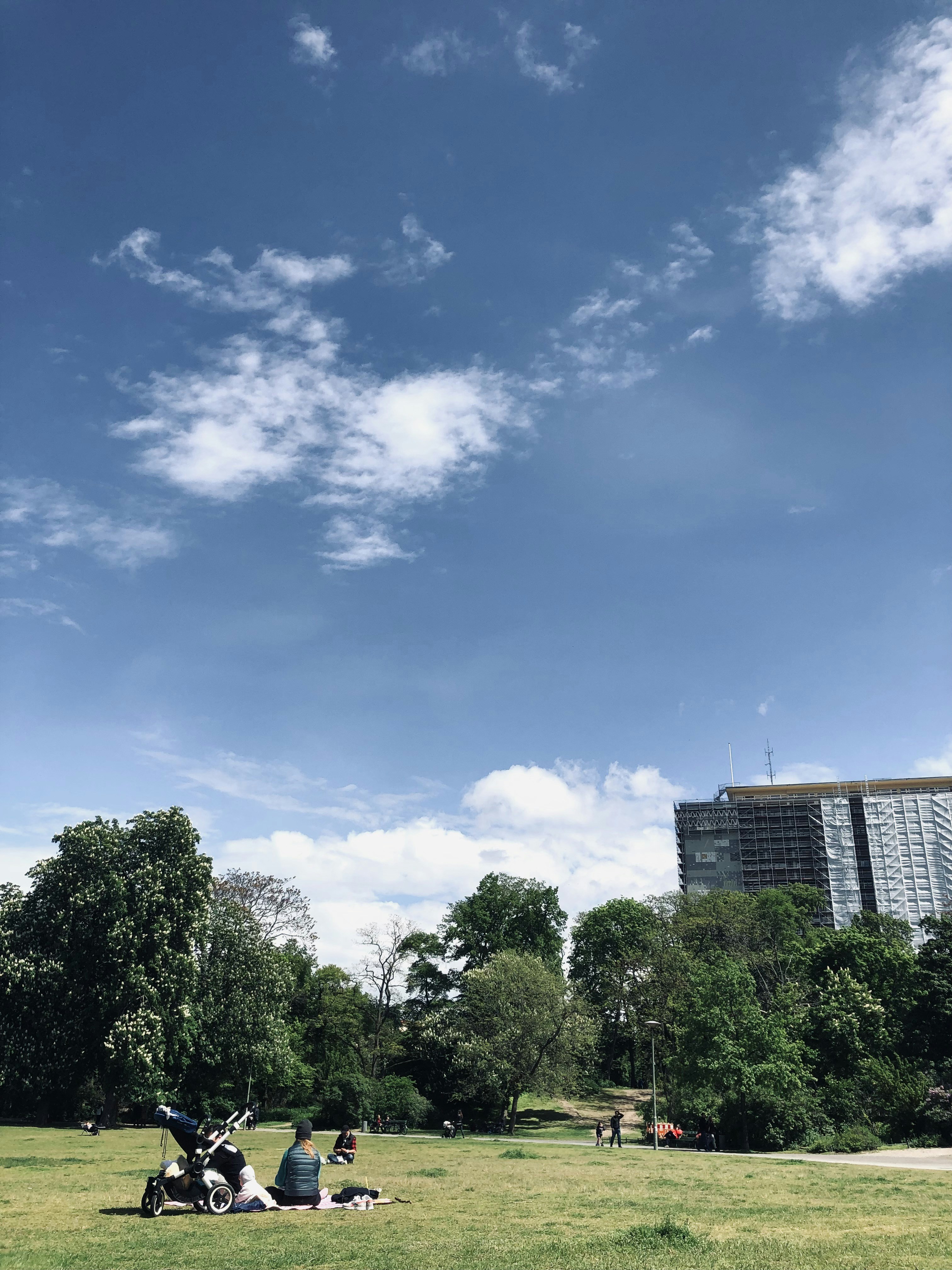 Parkside Afternoon: A Quiet Gathering and a Distant Skyline