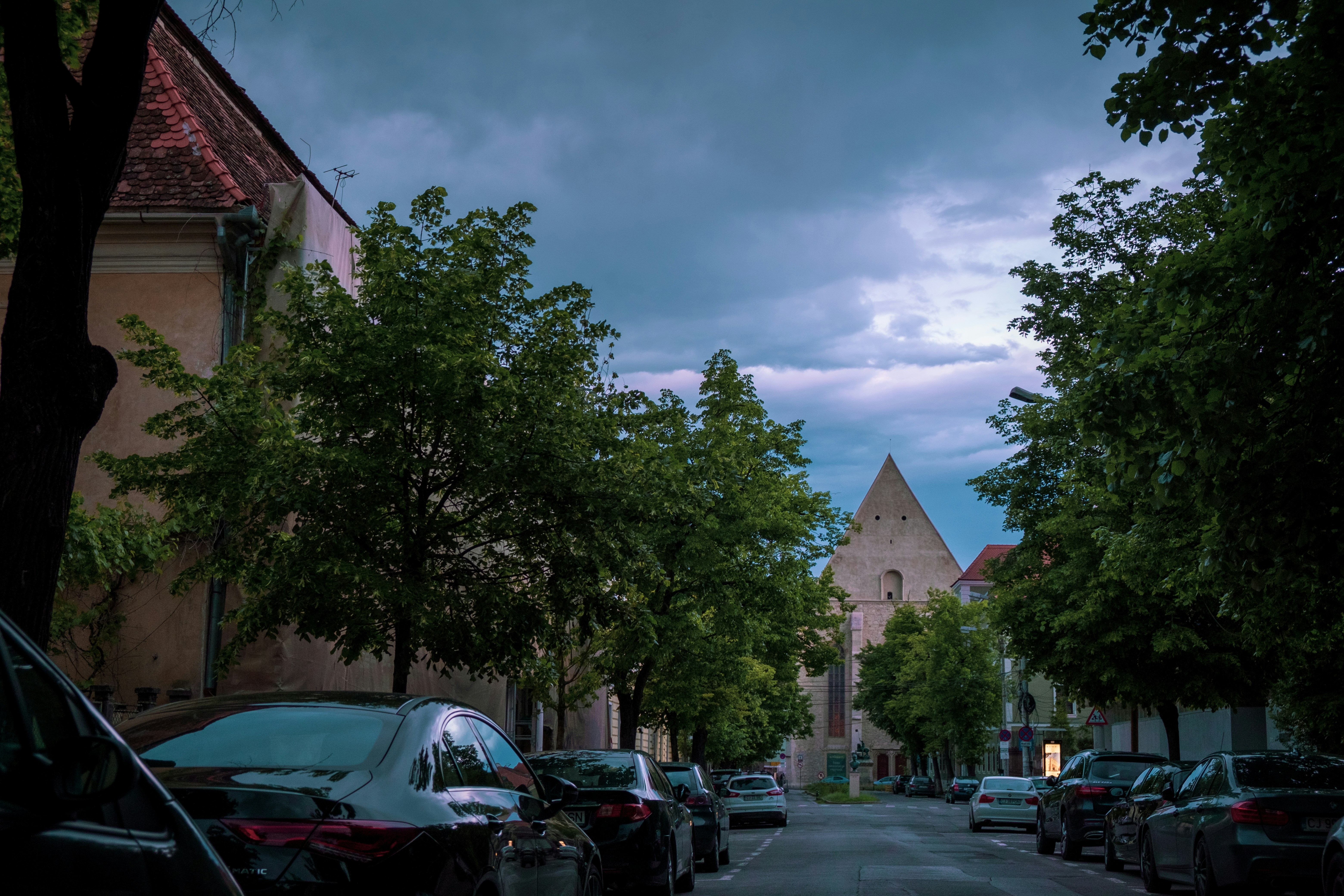 Tree-lined street with parked cars leading towards a historical building under a moody sky.