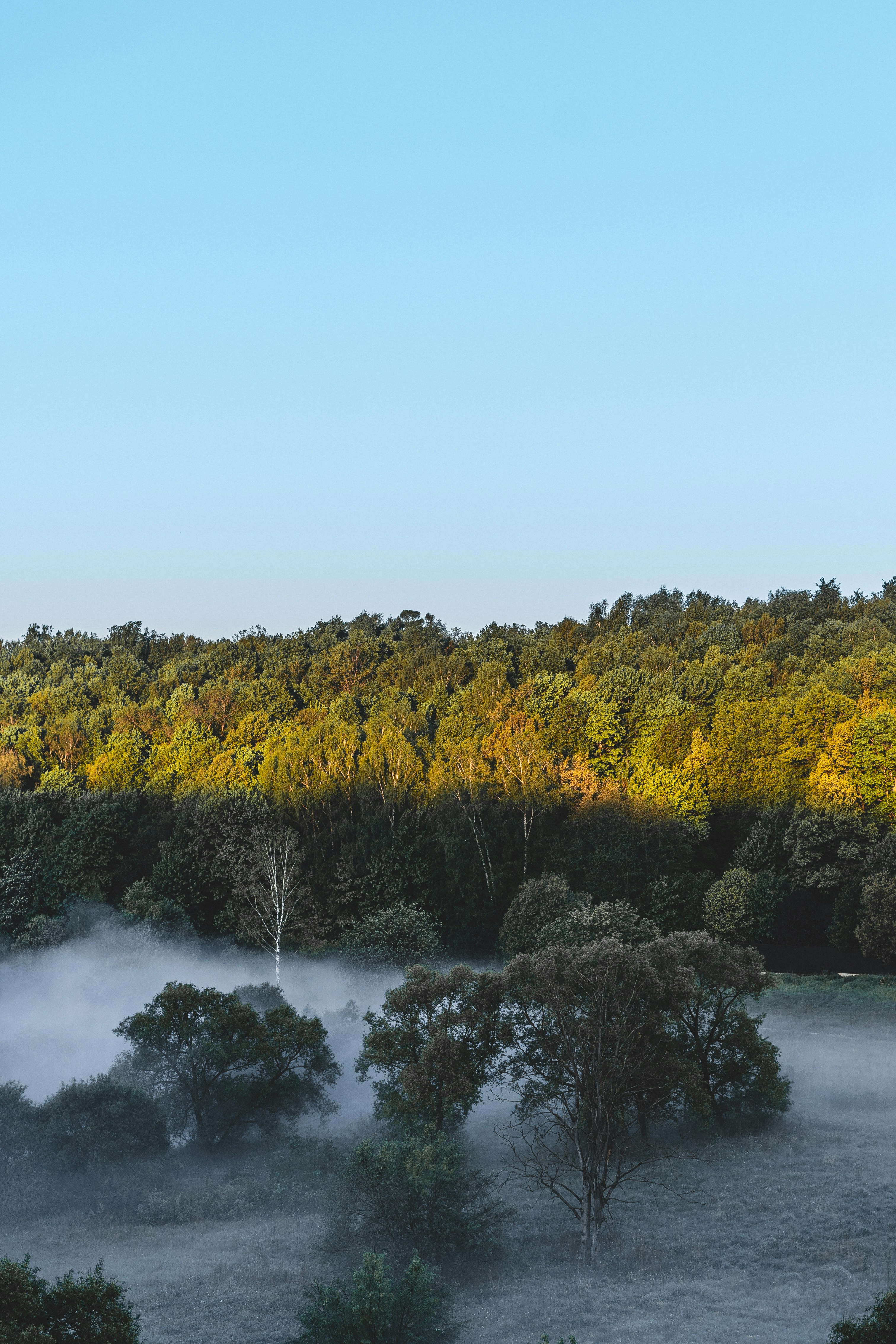 A serene landscape featuring a mist-covered field surrounded by vibrant autumn trees under a clear blue sky.