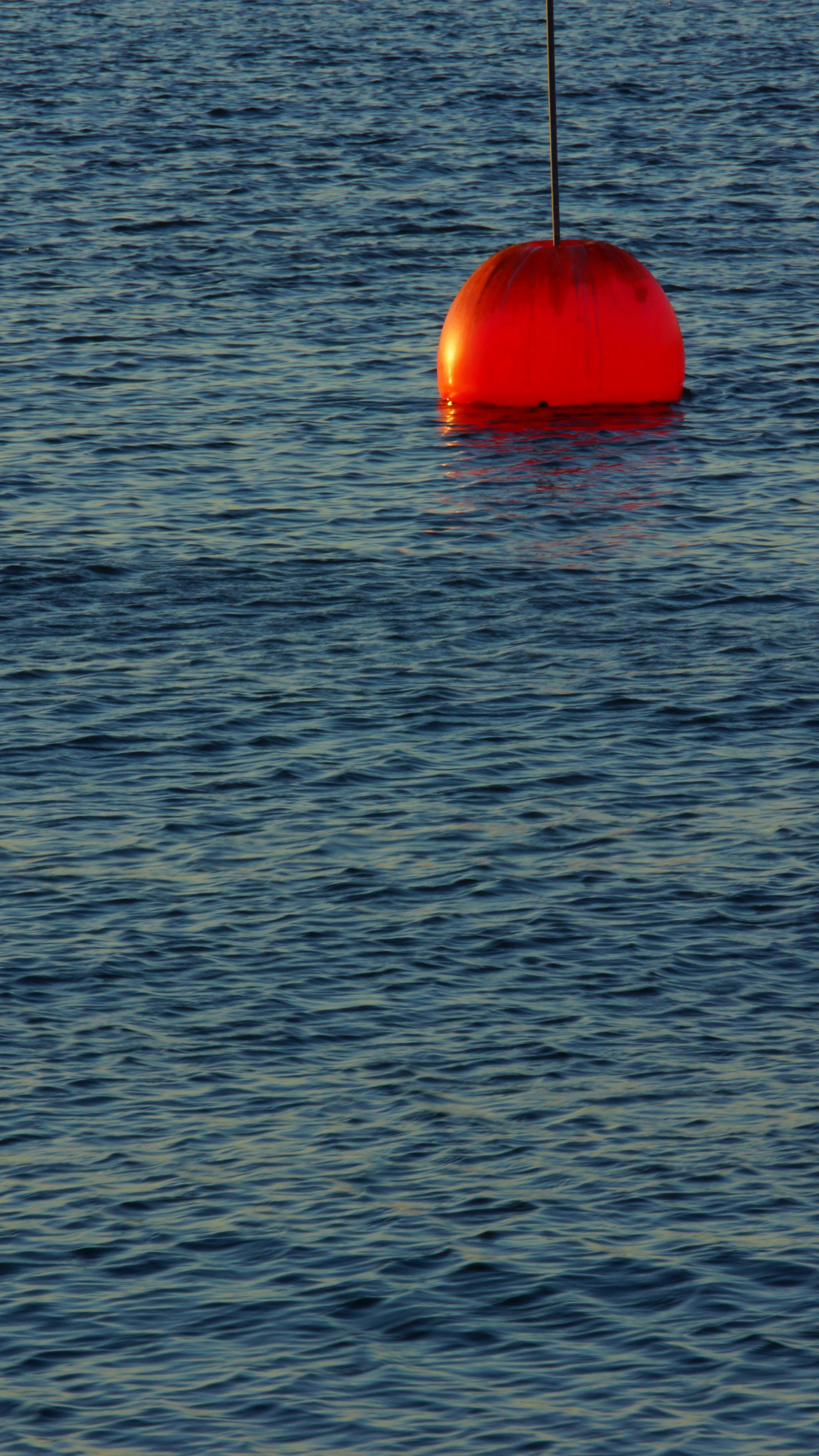 A vibrant orange buoy floats serenely on the calm surface of a blue water body, reflecting subtle light patterns. 