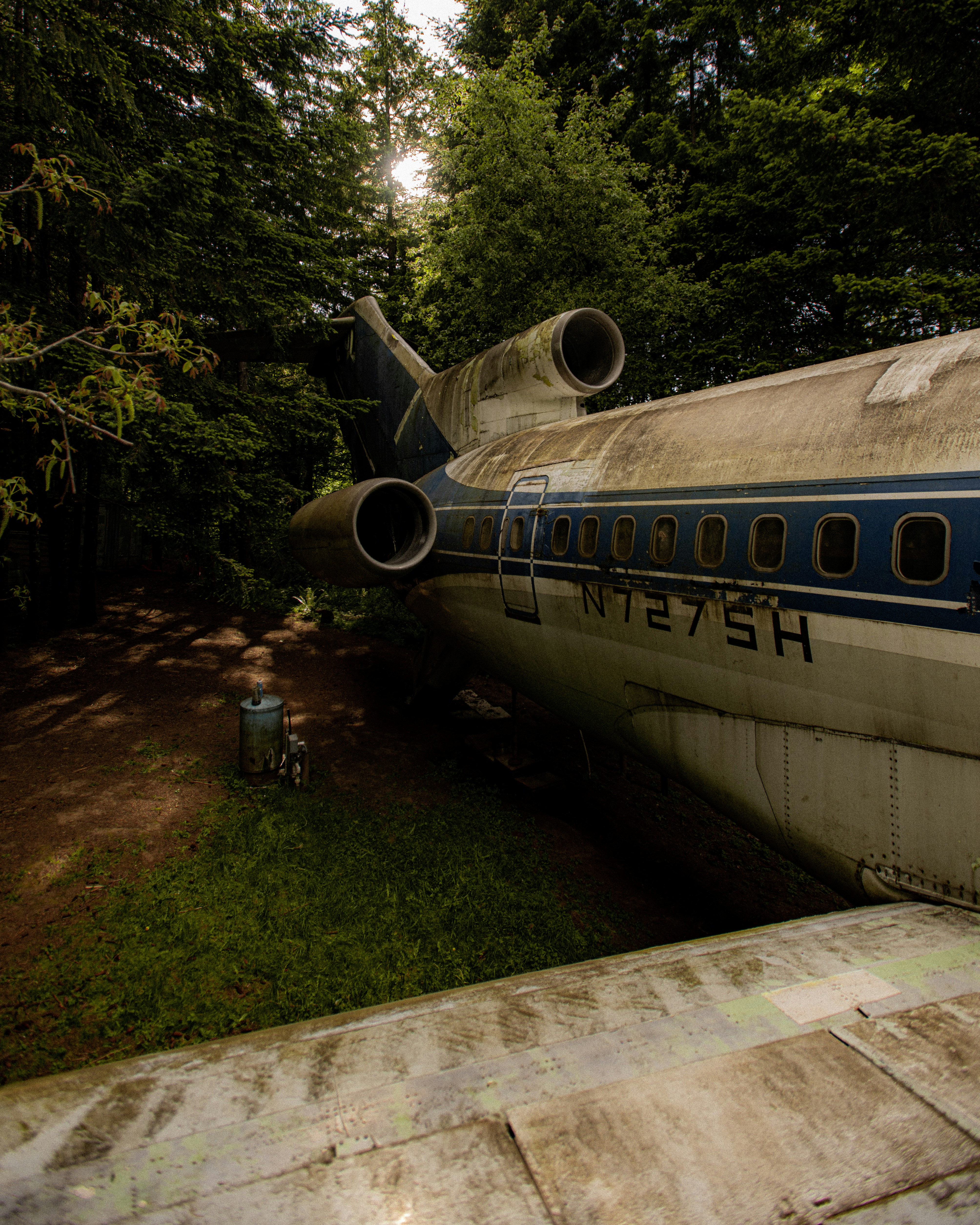 Abandoned Jet in a Forest Clearing