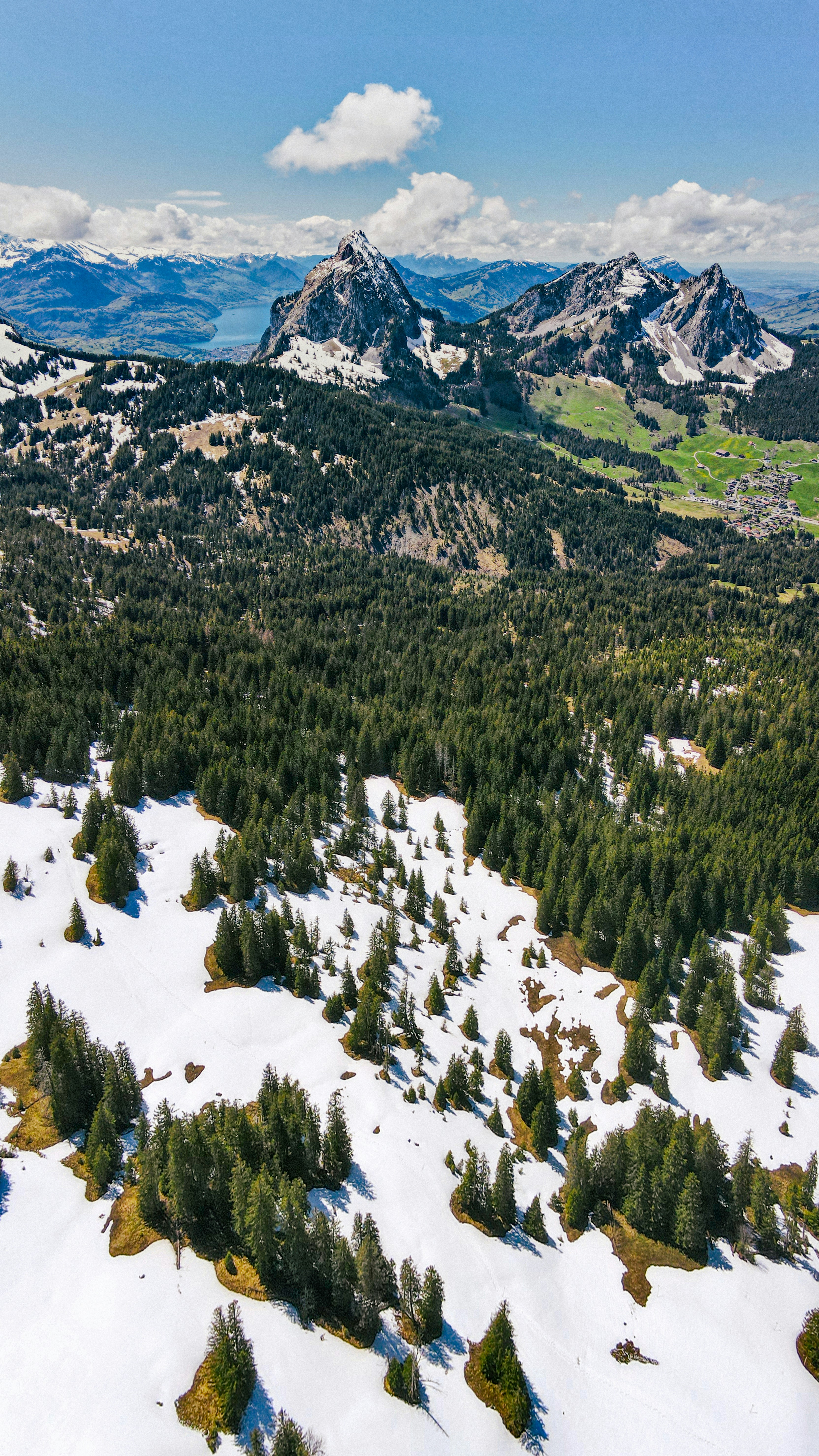 Green trees on snow covered mountain during daytime photo – Free Forest ...