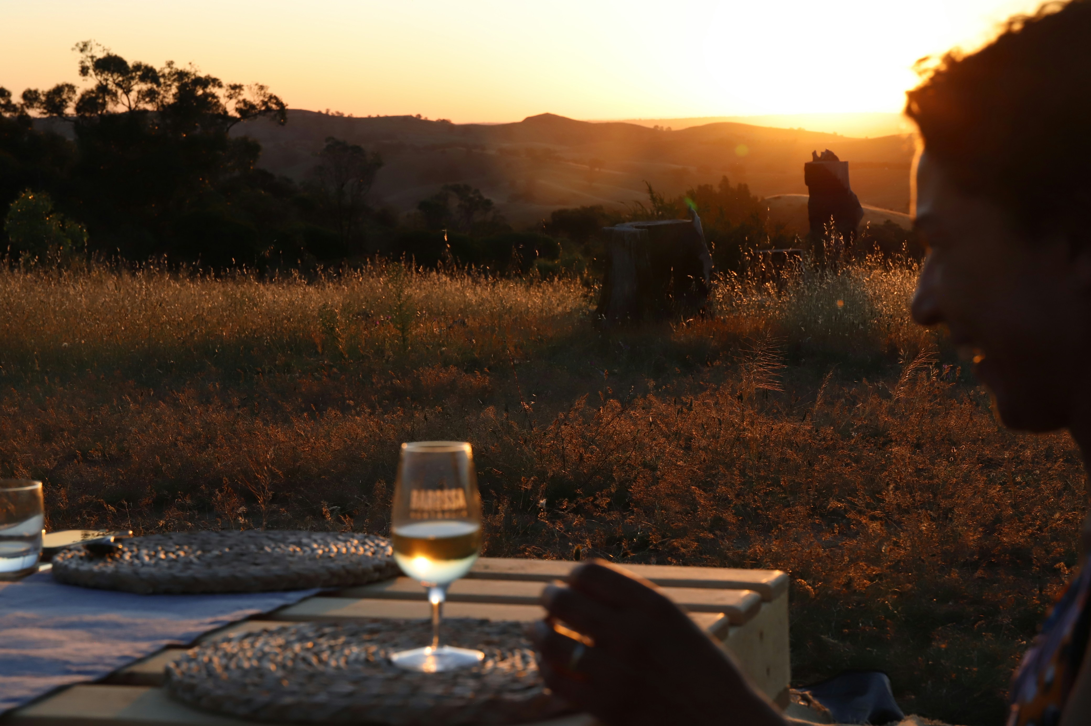 Sunlit Serenade at the Outdoor Table