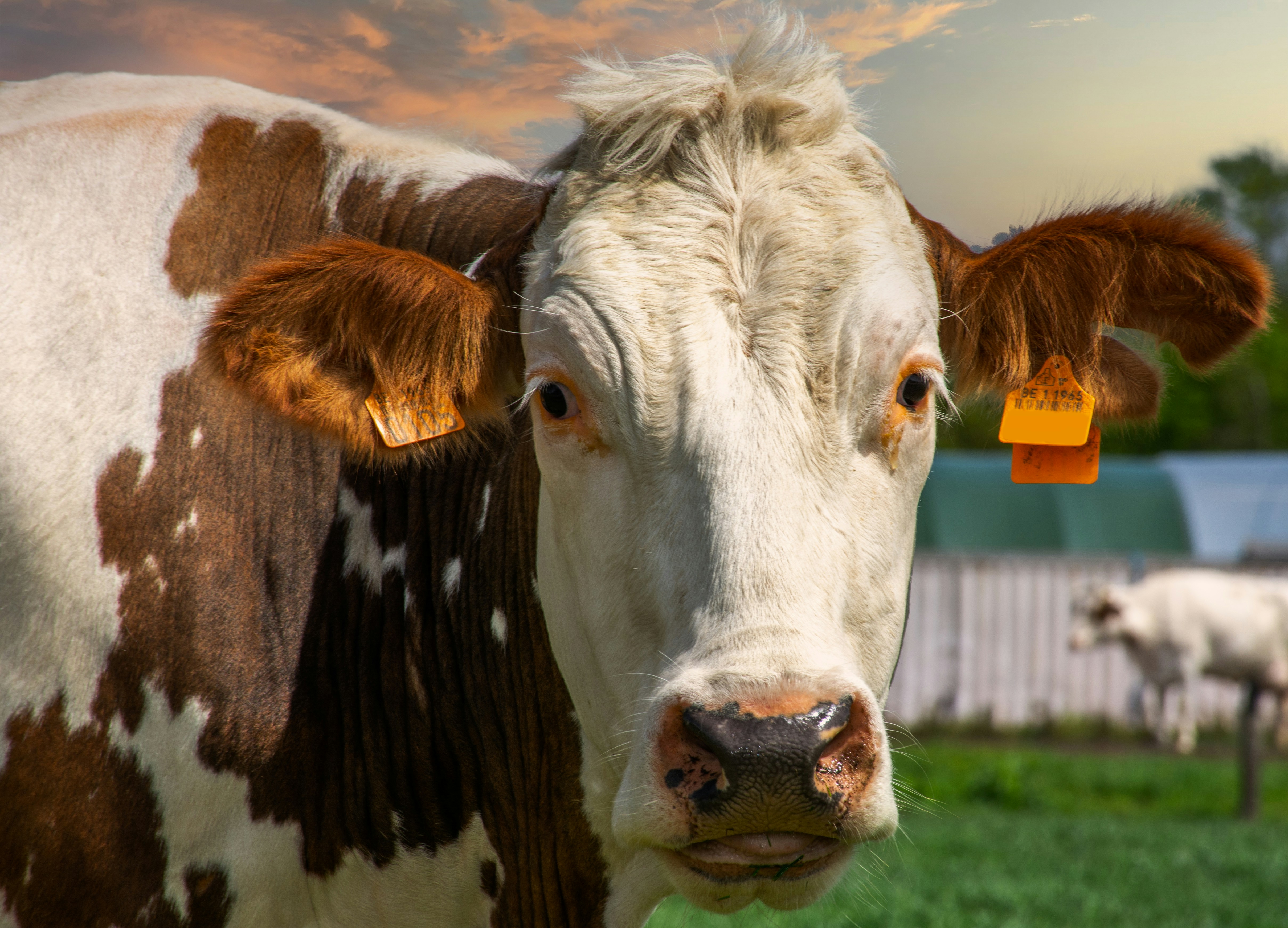 Yves Verhaert (@fotografieyvesv) | Unsplash Photo Community