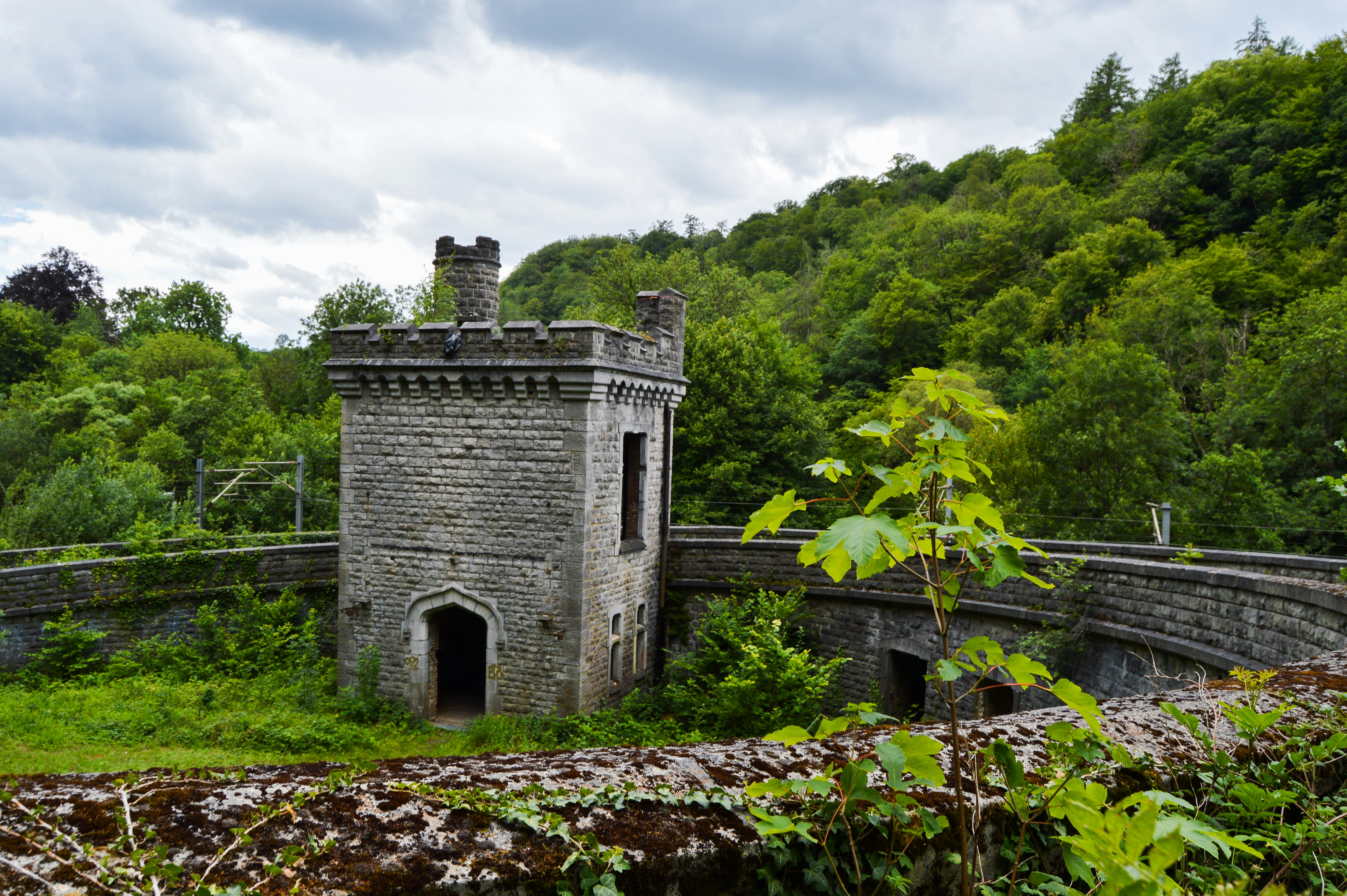 Moss-Cloaked Turret Rising from Verdant Ruin
