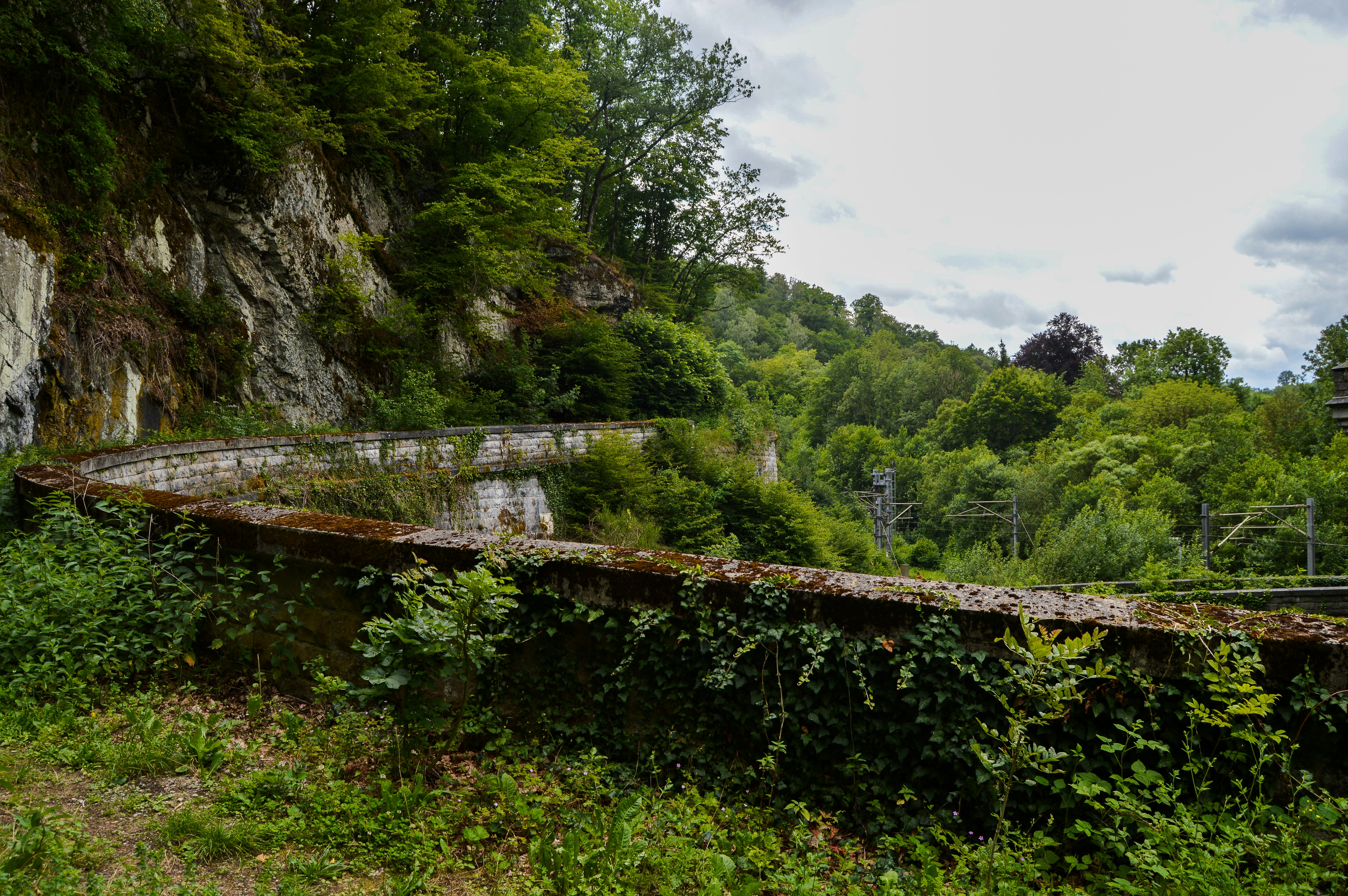A weathered stone wall winds through lush green foliage under a cloudy sky.