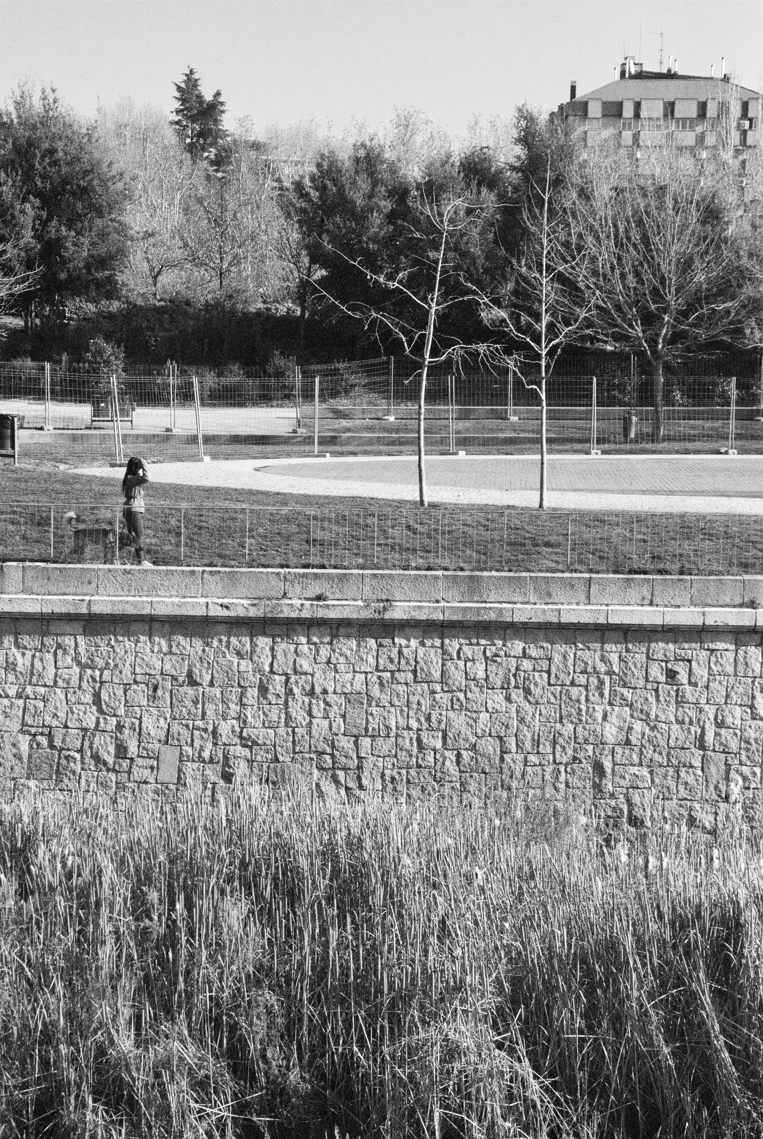 Lone Figure Along a Riverside Promenade Beneath Skeletal Trees