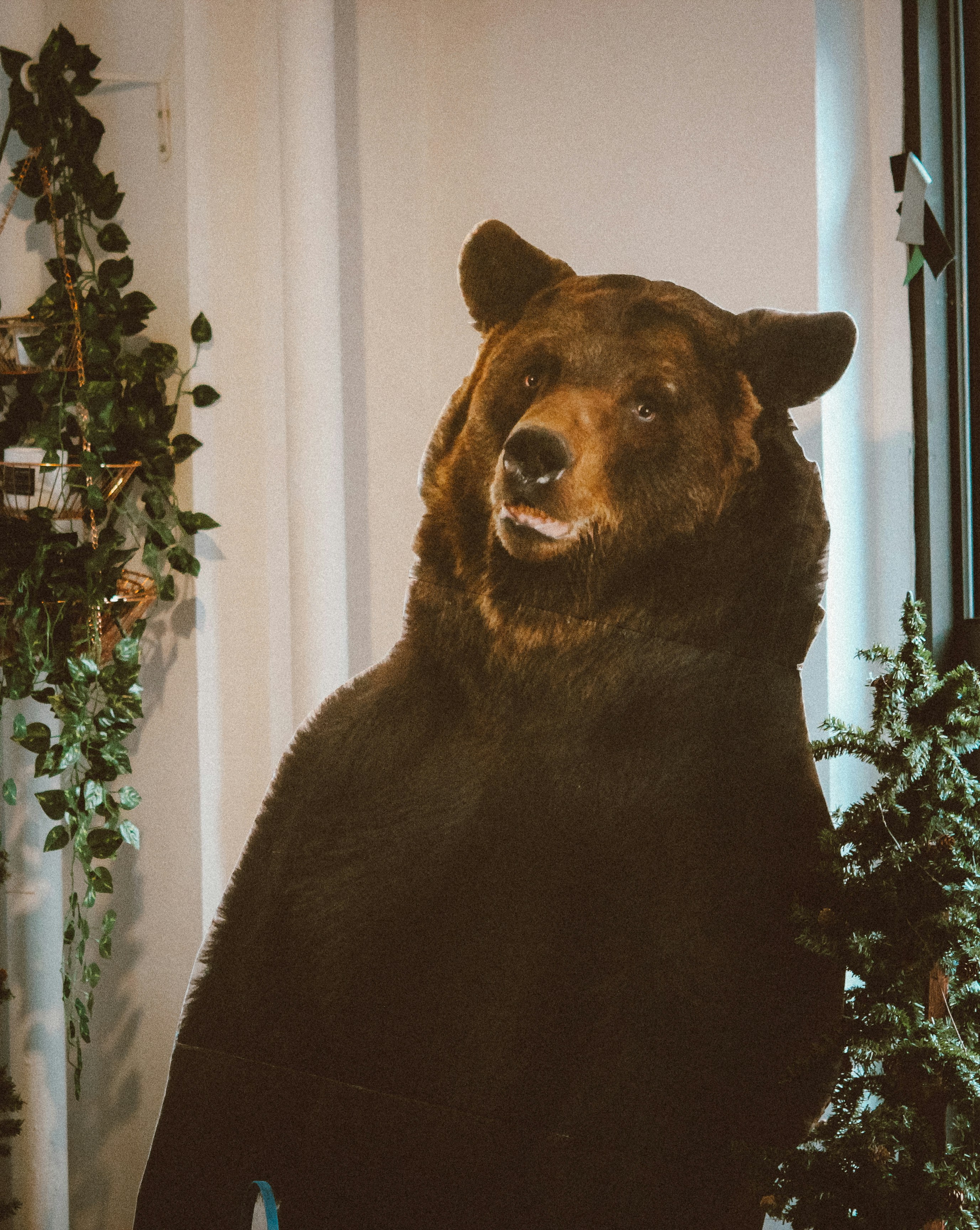 Bear in the Living Room: A Quiet Portrait Surrounded by Greenery