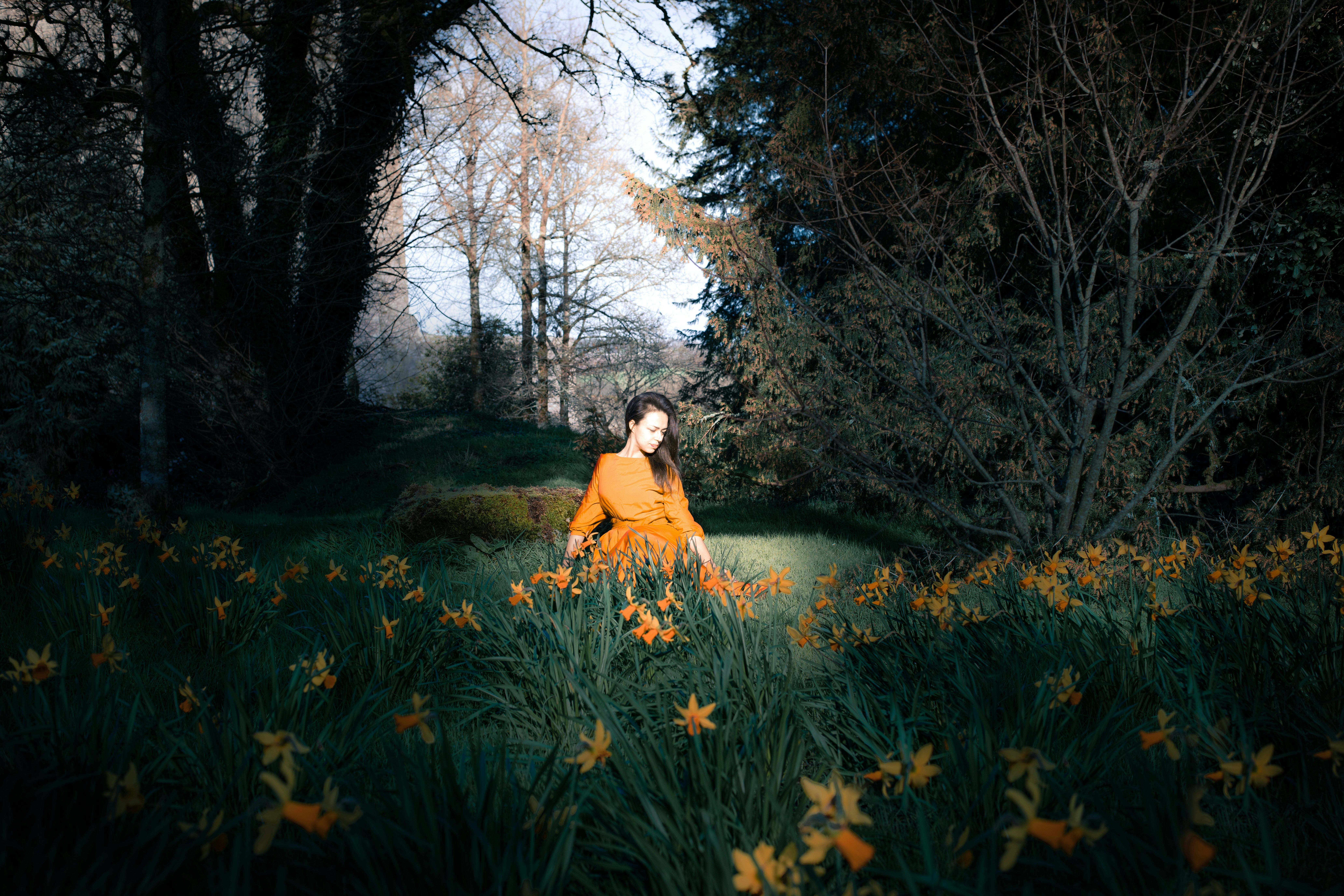 Amber in the Daffodil Glen: a solitary figure in a forest meadow